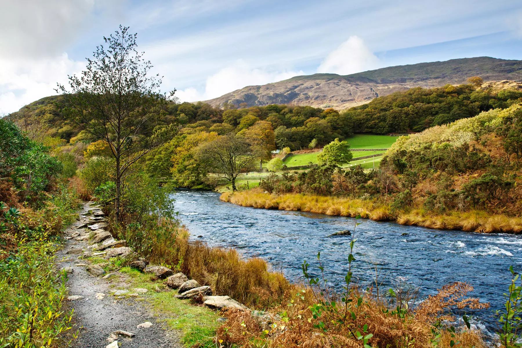 강 Glaslyn(Afon Glaslyn)은 가을 Snowdonia 국립 공원의 Llyn Dinas에서 흘러 나옵니다.