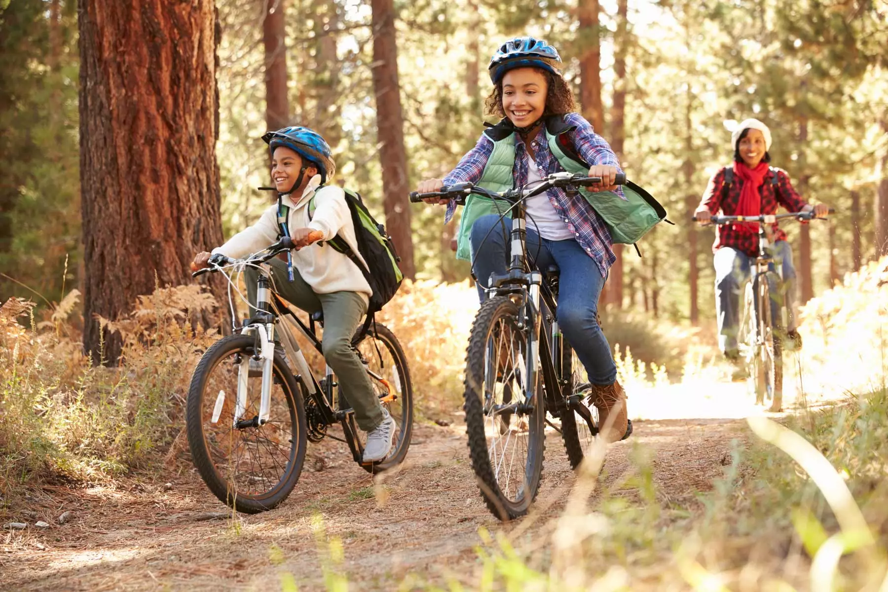 Duas crianças e uma mãe pedalando em um caminho na floresta, para representar um passeio com a Thomson Family Adventures, eleita uma das melhores operadoras de turismo do mundo