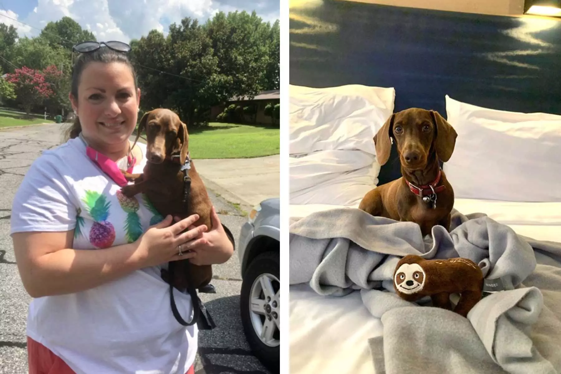 Pipsqueak the Weiner dog and his caretaker flight partner Melissa Young