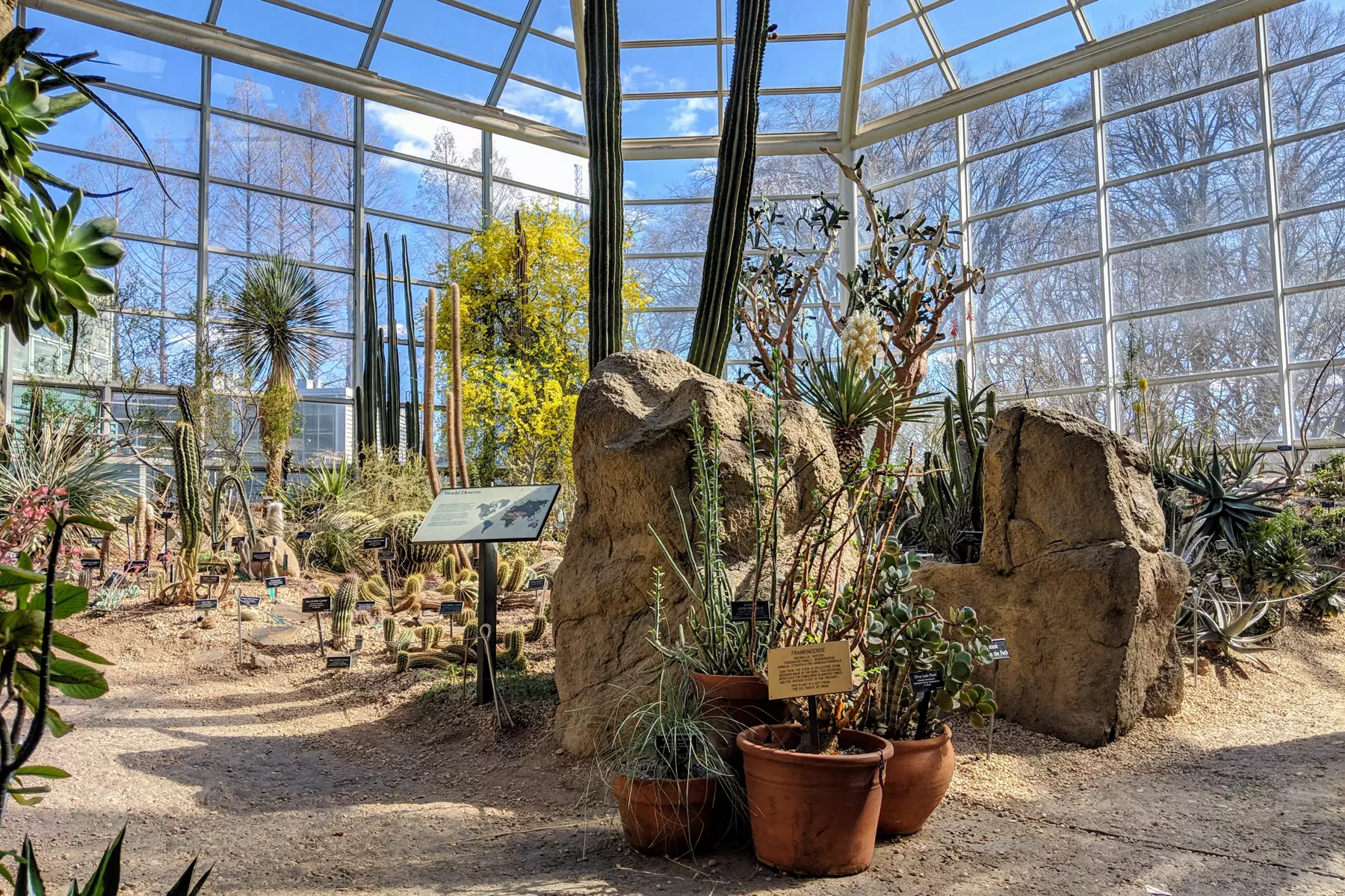 La stanza del deserto del giardino botanico di Brooklyn