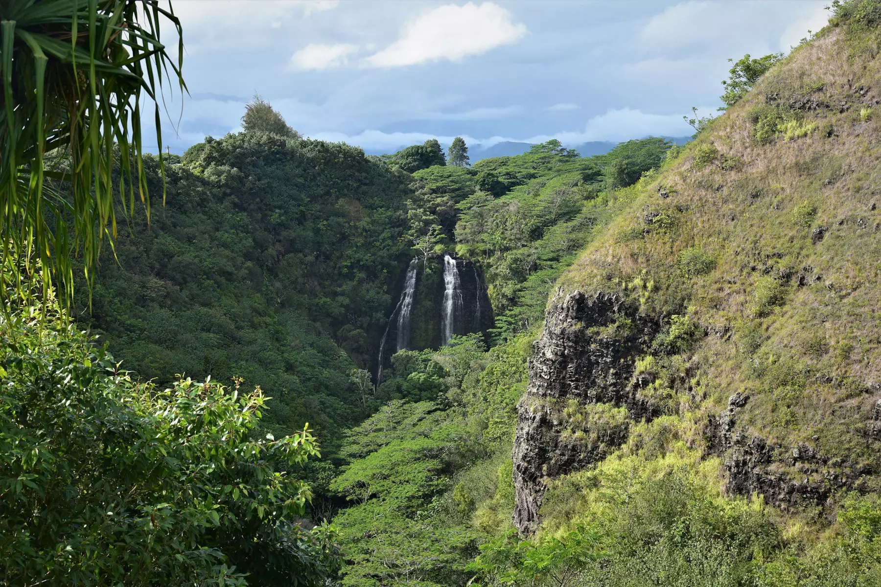 Uluwehi Falls aka Secret Falls, Kauai, Basoaren ikuspegi eszenikoa zeruaren aurka, Hawaii