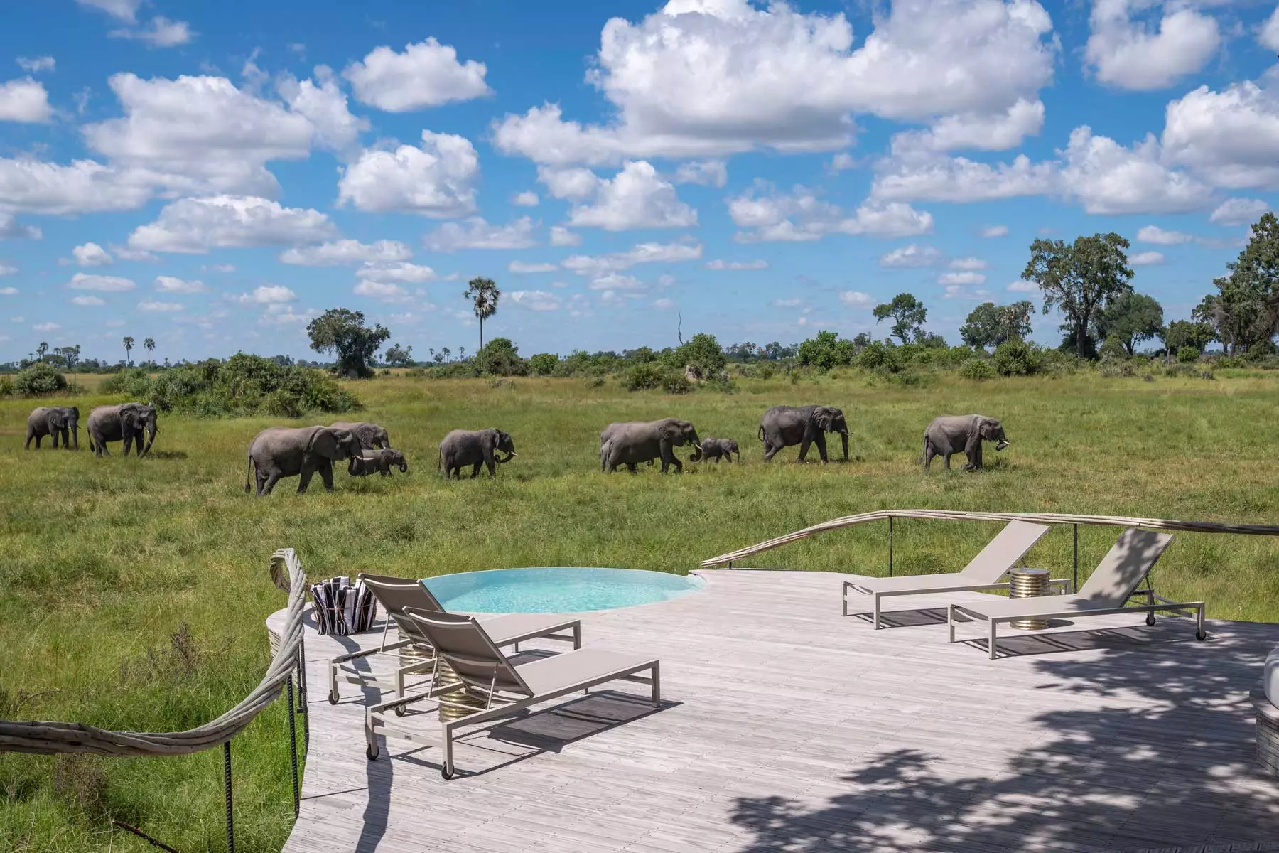 Bwawa la kibinafsi la Mombo na Little Mombo Camp linalotazamana na nyasi za tembo nchini Botswana