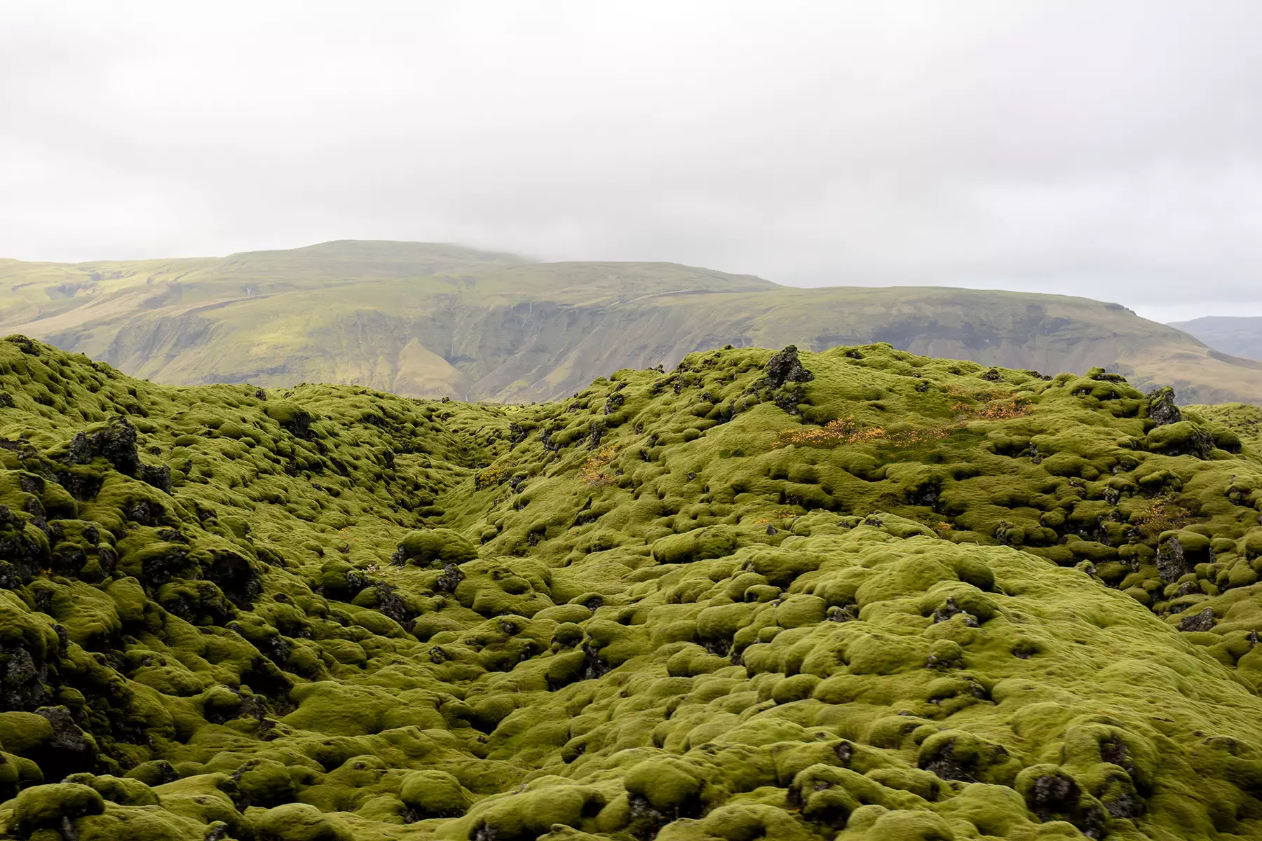 Polje lave v Eldhraunu, narodni park Vatnajökull, južna regija, Islandija