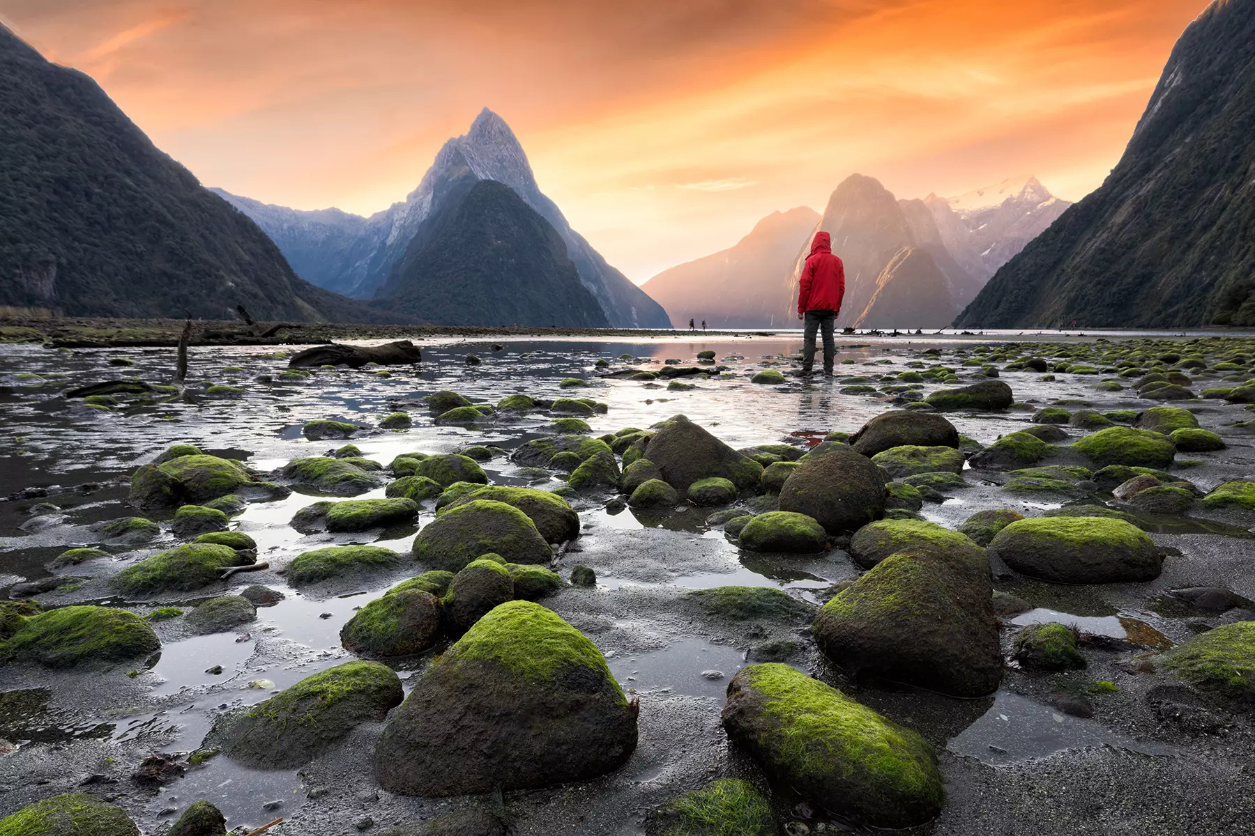 Milford Sound/Piopiotahi is een fjord in het zuidwesten van het Zuidereiland van Nieuw-Zeeland