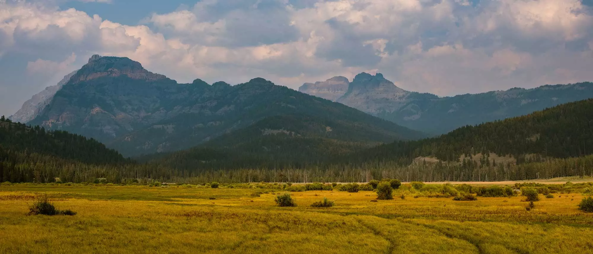 Thung lũng Lamar phía Bắc ở Yellowstone