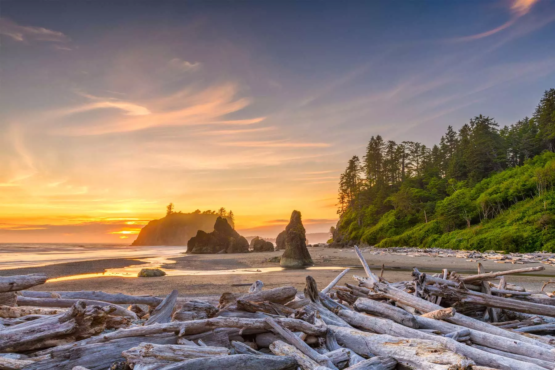 Olympic National Park, Washington ved Ruby Beach med hauger av dødved.