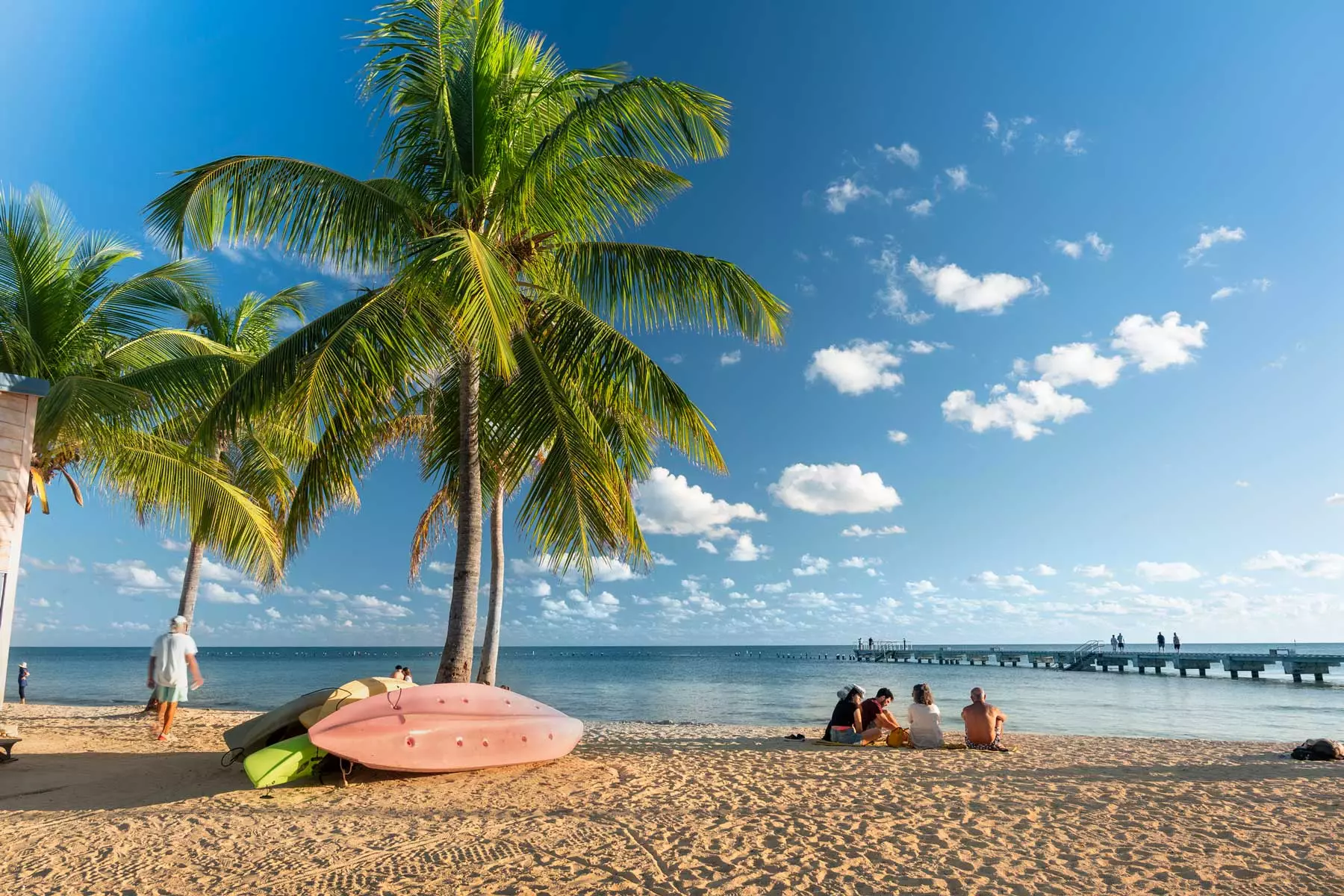 Folk ser på solnedgangen på stranden i Key West Florida