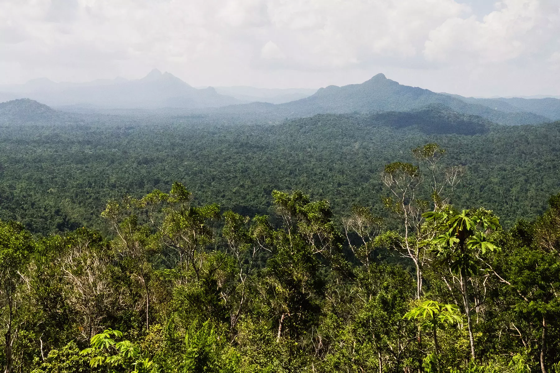 Wo lati oke ti Cockscomb Basin Wildlife Sanctuary