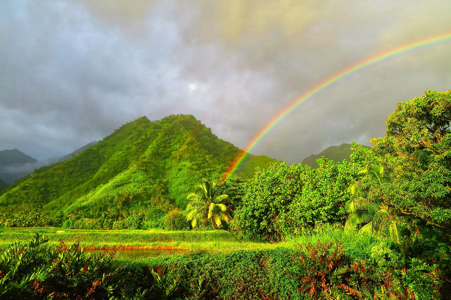 Foto aufgenommen in Teahupoo, Französisch-Polynesien