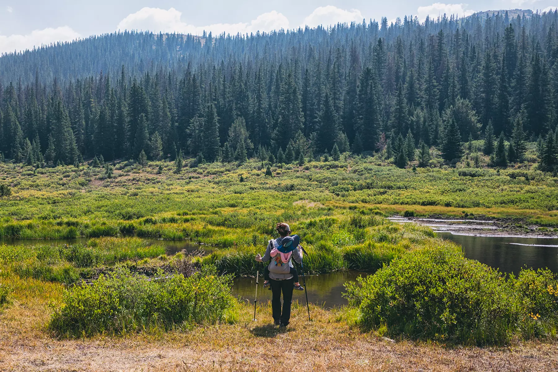 Hiking di Buffalo Peaks Wilderness, di Buena Vista, Colorado