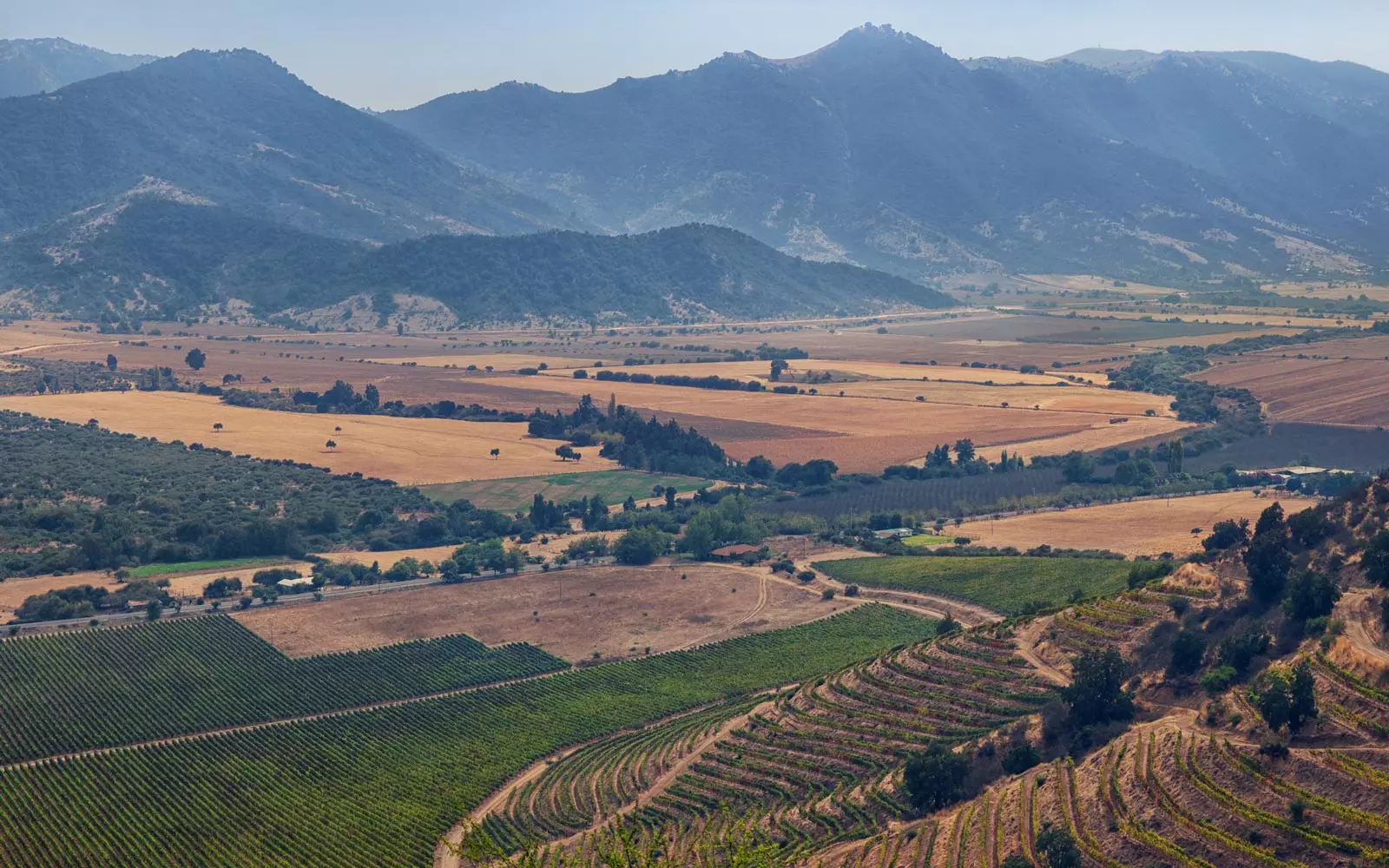 Colchagua Valley