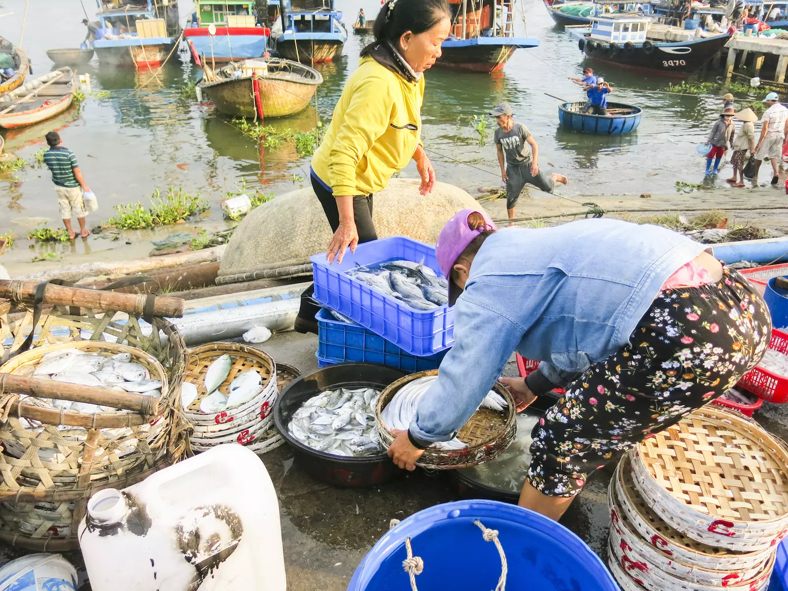 بازار ماهی Hoi An