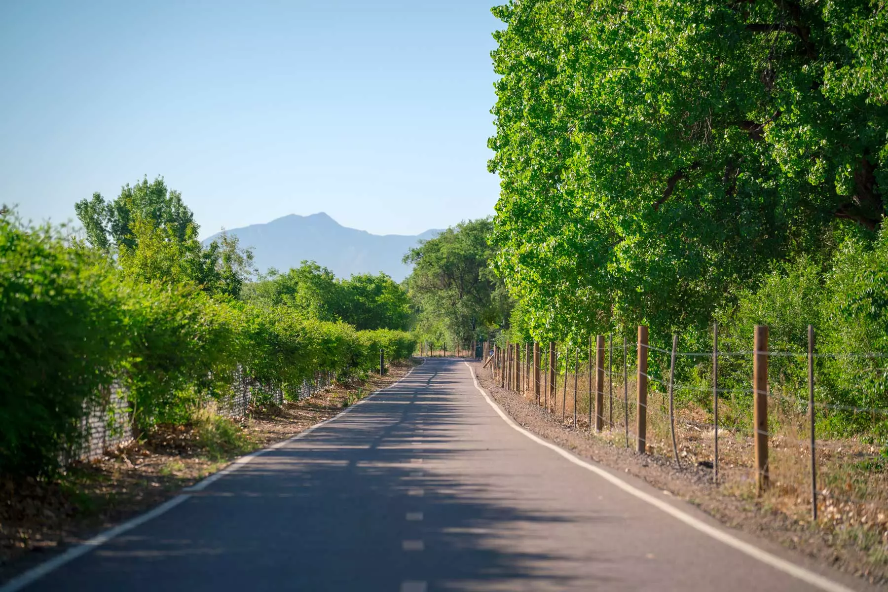 Szlak Paseo del Bosque w Albuquerque w Nowym Meksyku