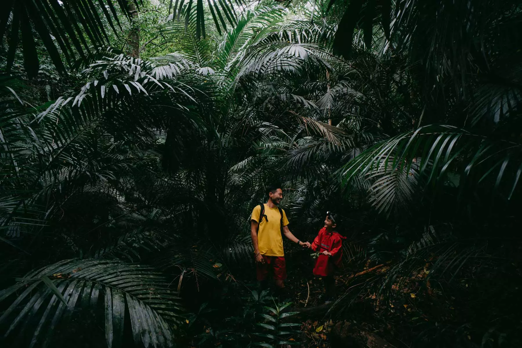 Ayah Asia dan anak kecil tertawa di hutan, Taman Nasional Iriomote-Ishigaki, Okinawa, Jepang