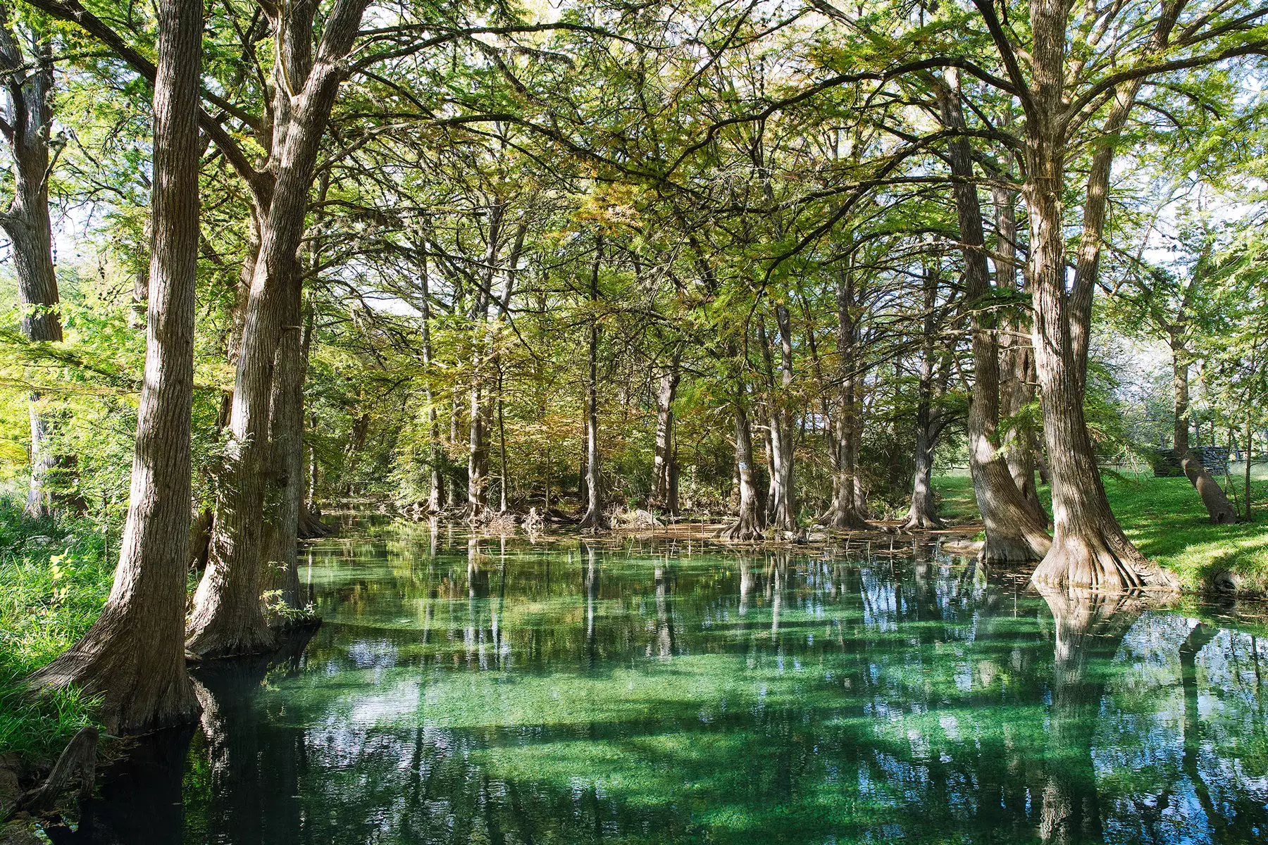 Gomba rekushambira rebhuruu muWimberley, Texas