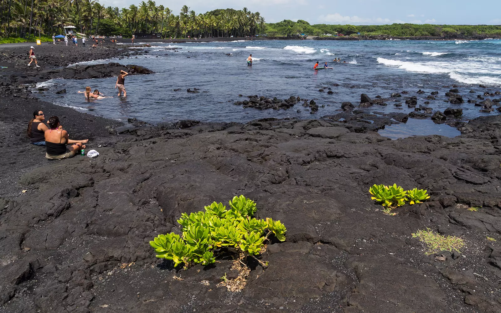 NAALEHU, HAWAII, VEREINIGTE STAATEN - 2015/09/20: Punaluu Black Sand Beach ist einer der berühmtesten schwarzen Sandstrände auf der Big Island von Hawaii. Es liegt an der Kau-Küste in der Nähe der Stadt Naalehu und wird von grünen Meeresschildkröten besucht, die sich am Strand sonnen. S