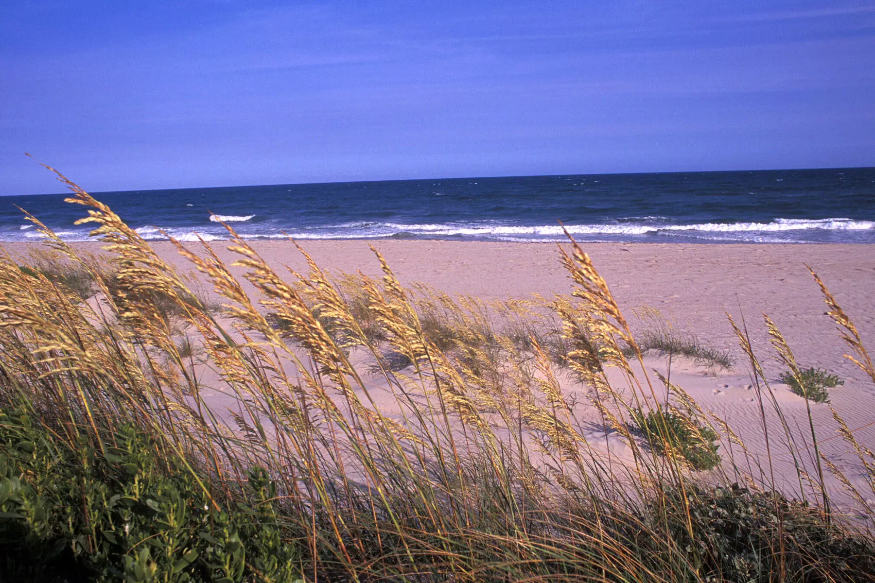 Hammocks Beach State Park, North Carolina