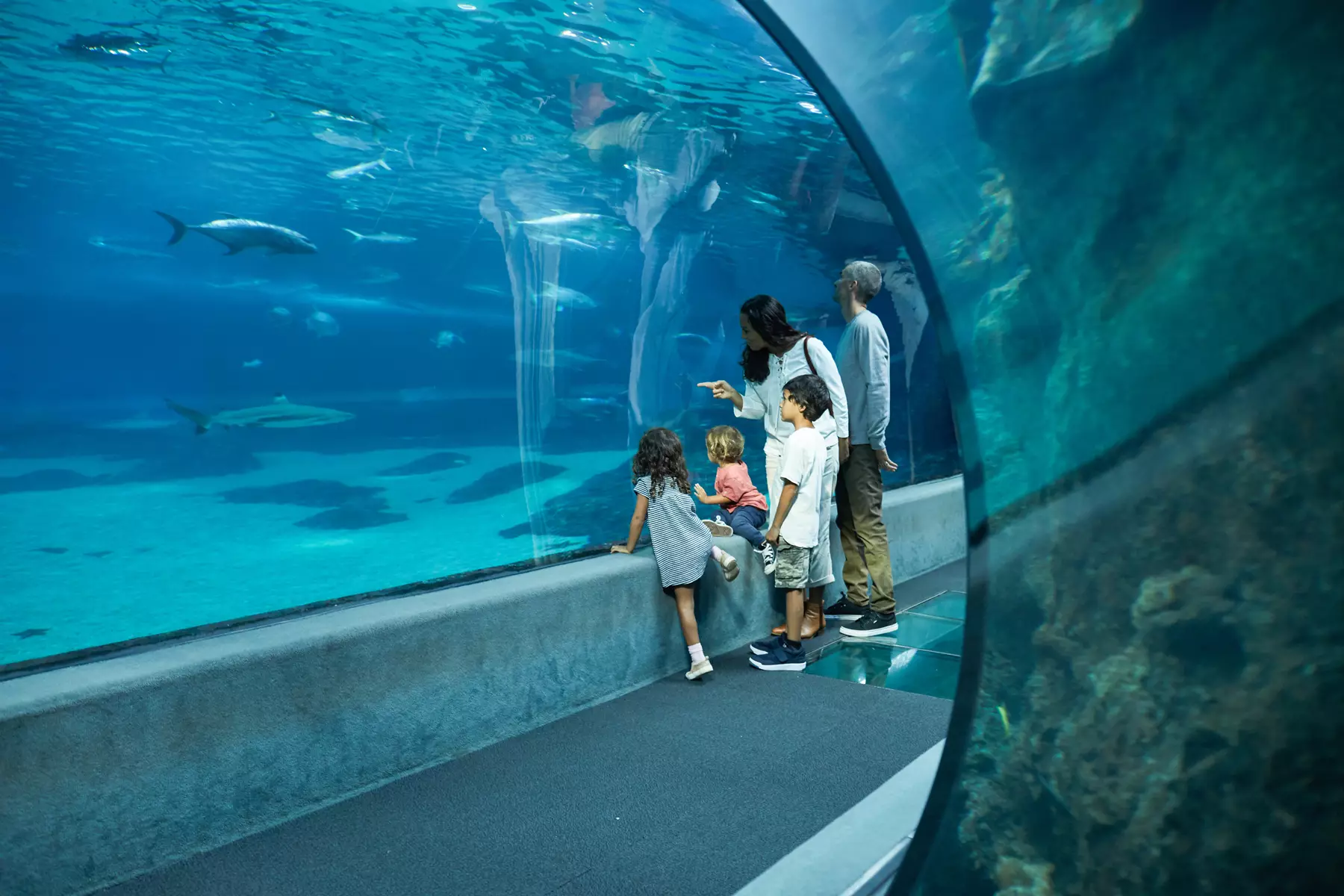 Посетители наслаждаются выставкой Maui Ocean Center