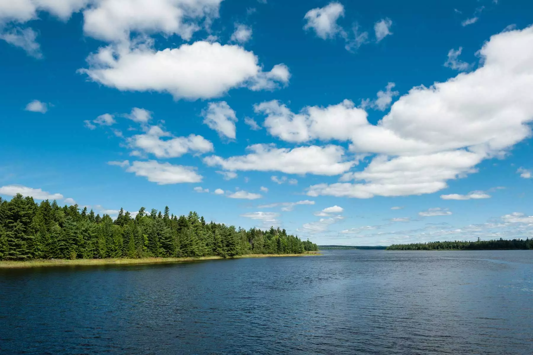 Eagle Lake, ing Allagash Wilderness Waterway, North Maine Woods