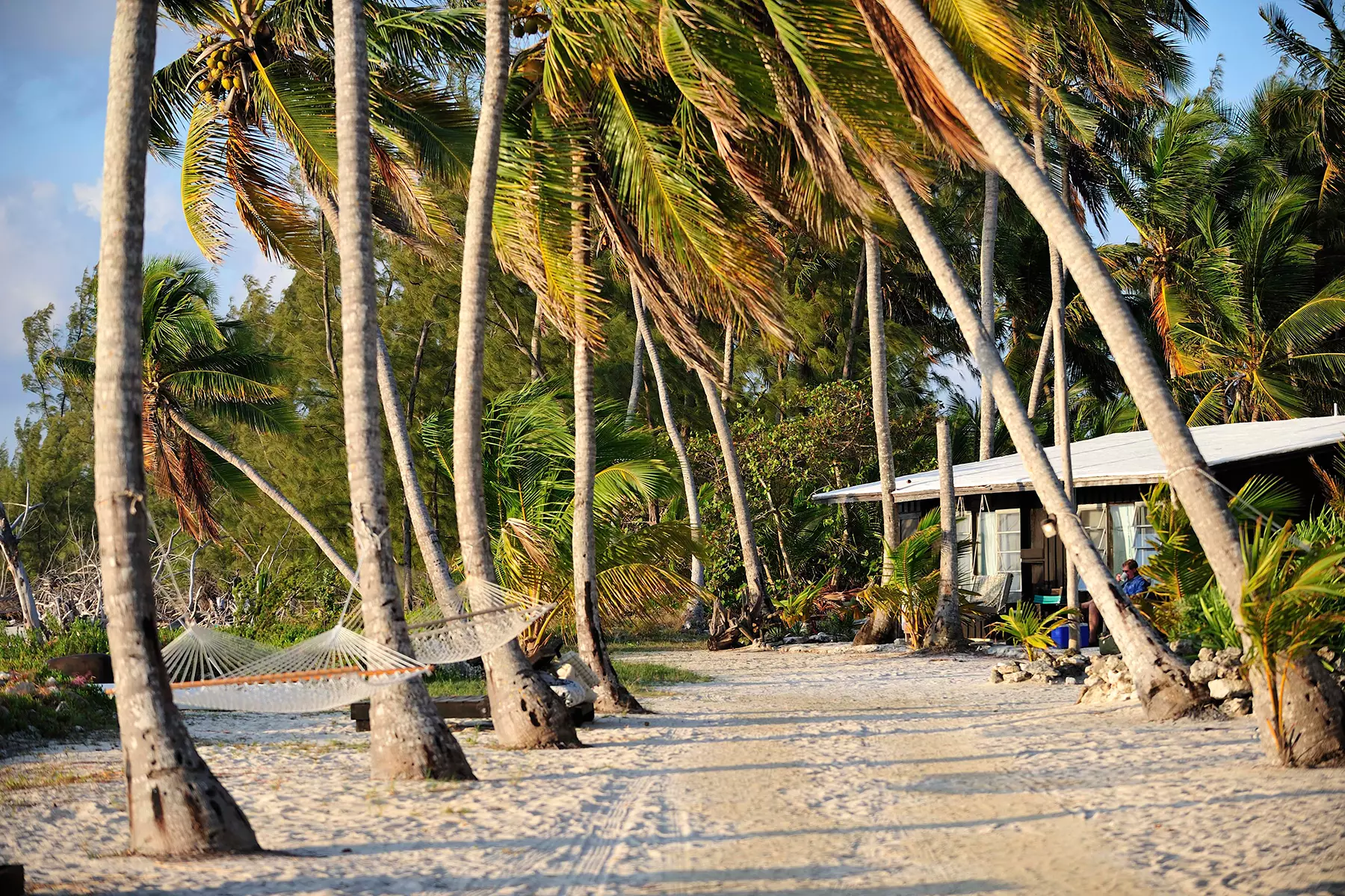 Katsu-Hängematten und Hütten in der Small Hope Bay Lodge