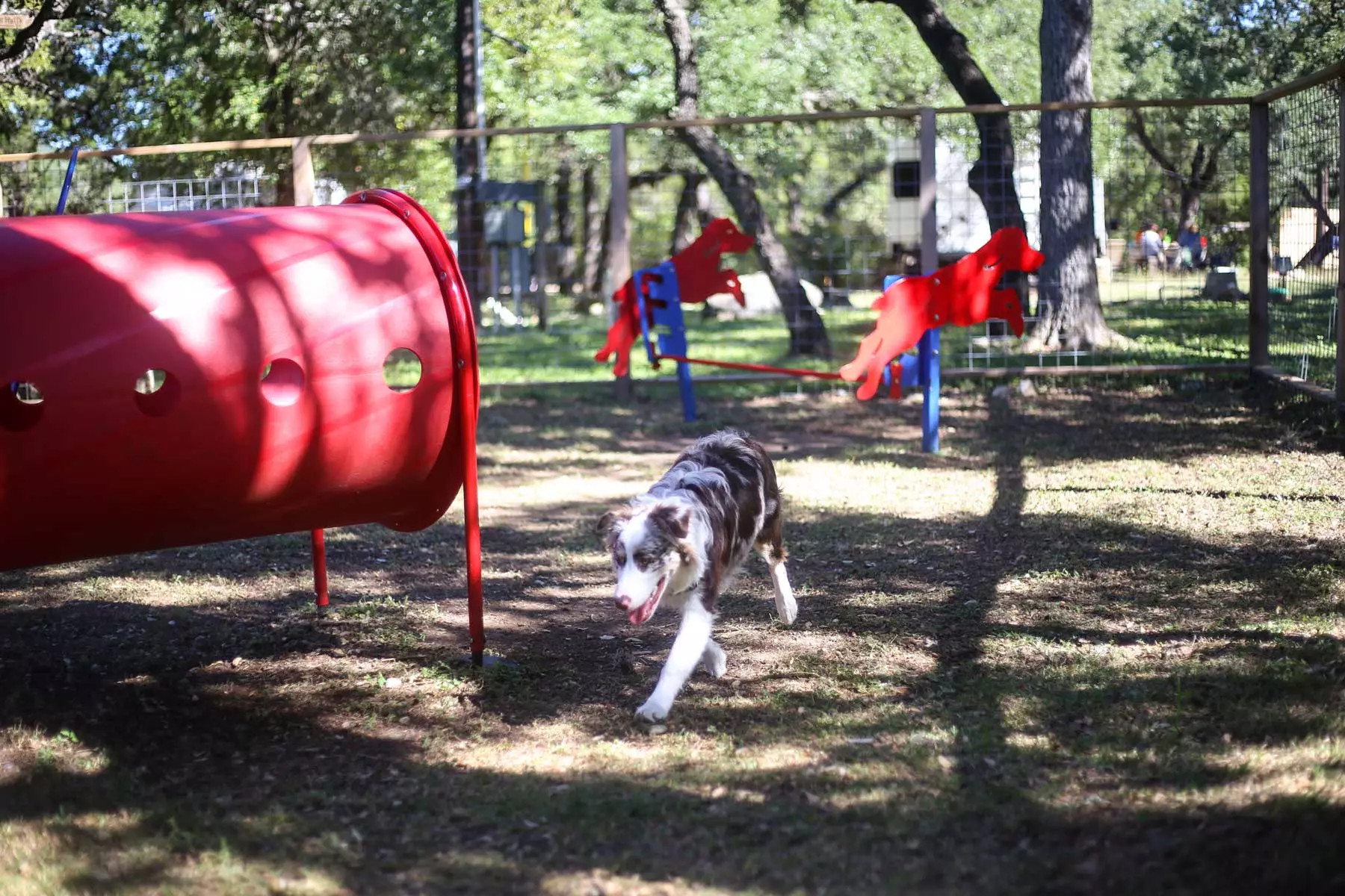 Hond geniet kampplek hondepark