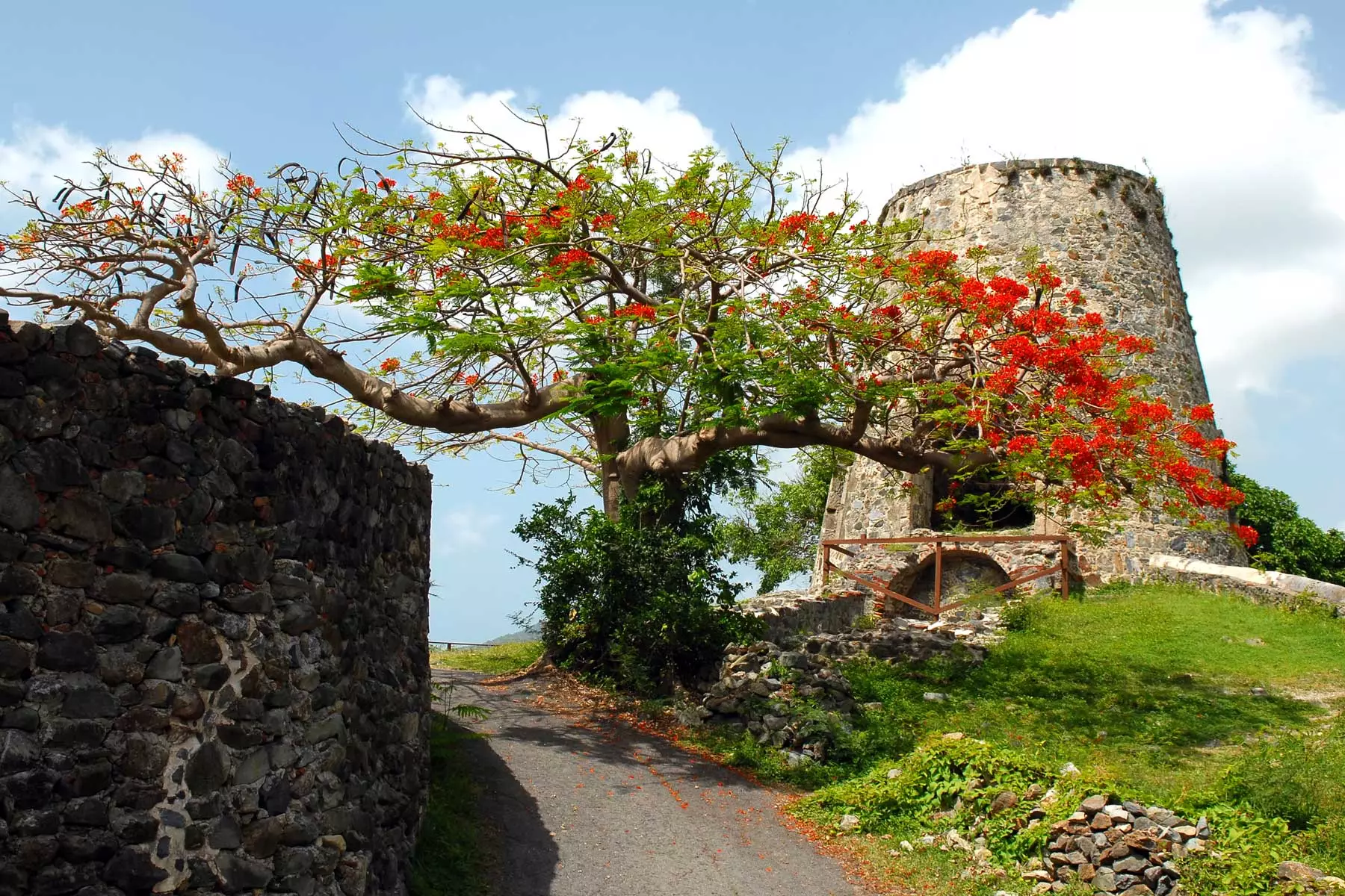 L'ancien moulin à sucre d'Annaberg, sur l'île de St John