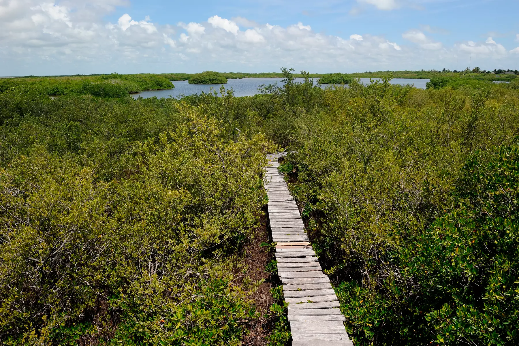 I-Sian Ka'an Biosphere Reserve, Indawo Yamagugu Omhlaba. Iyindawo evikelwe enkulu kunazo zonke e-Mexican Caribbean. UQuintana Roo, eMexico.