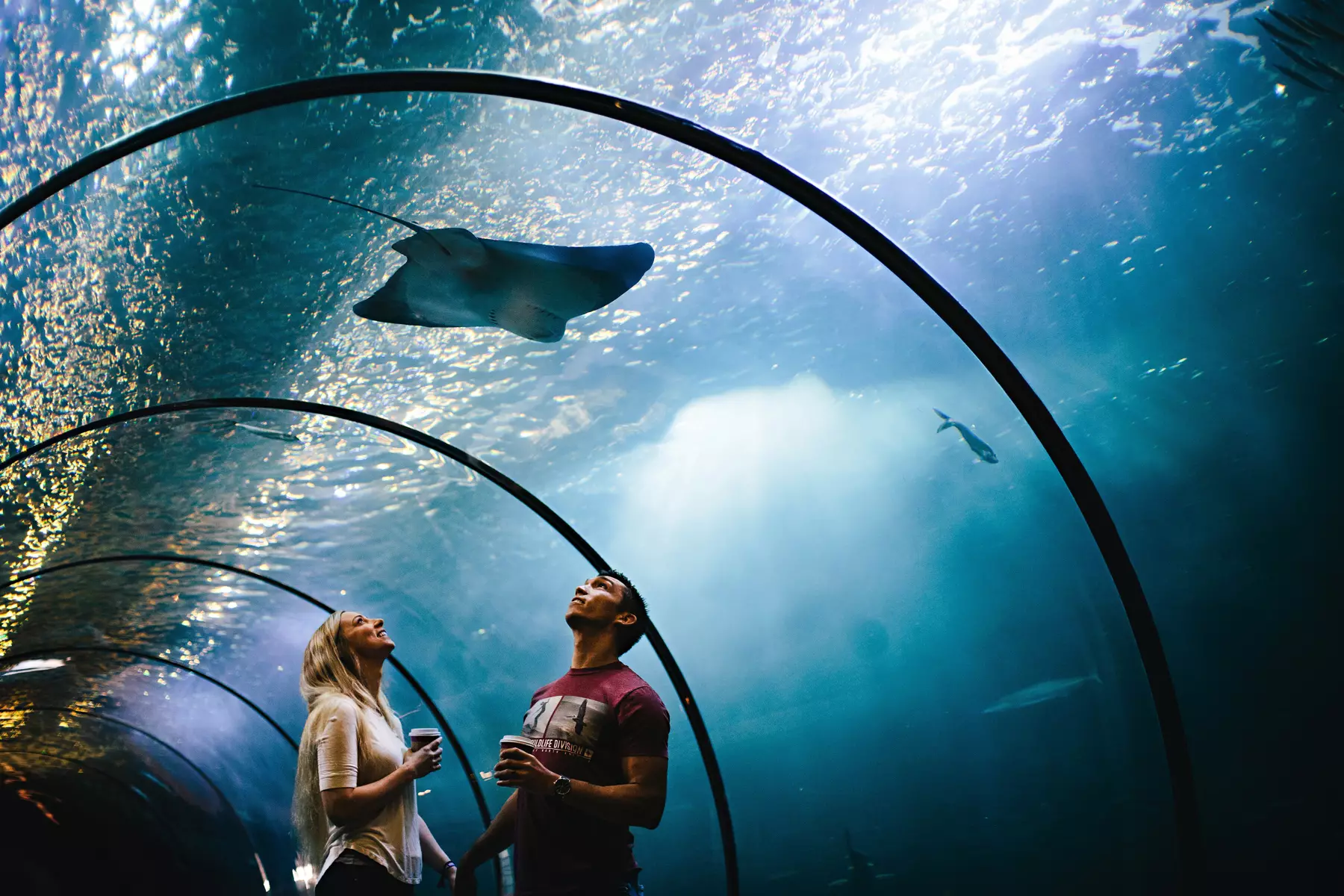 Орегон эргийн аквариум дахь хонгил дахь хатгуур туяаг хараад гар барьж буй хосууд