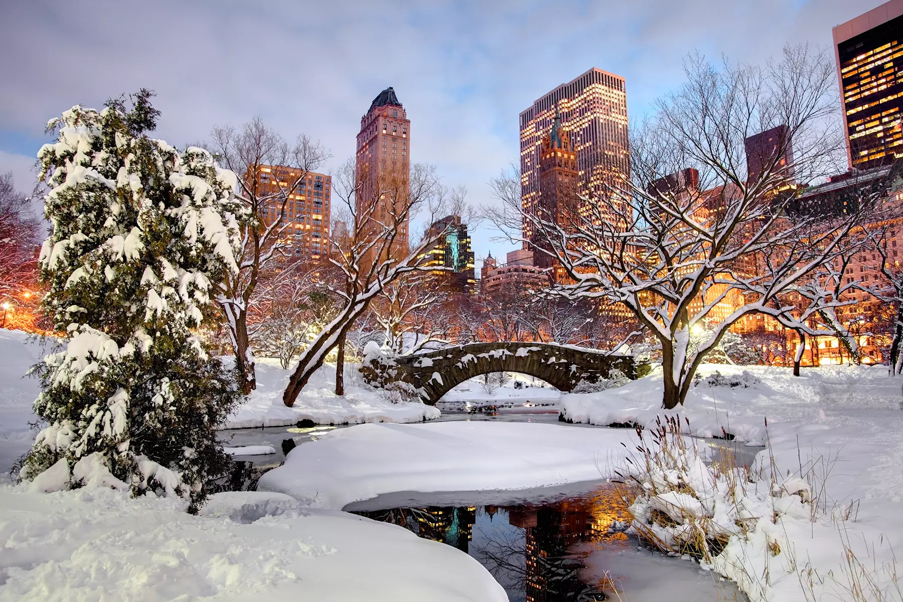 Χειμώνας στο Central Park, Νέα Υόρκη