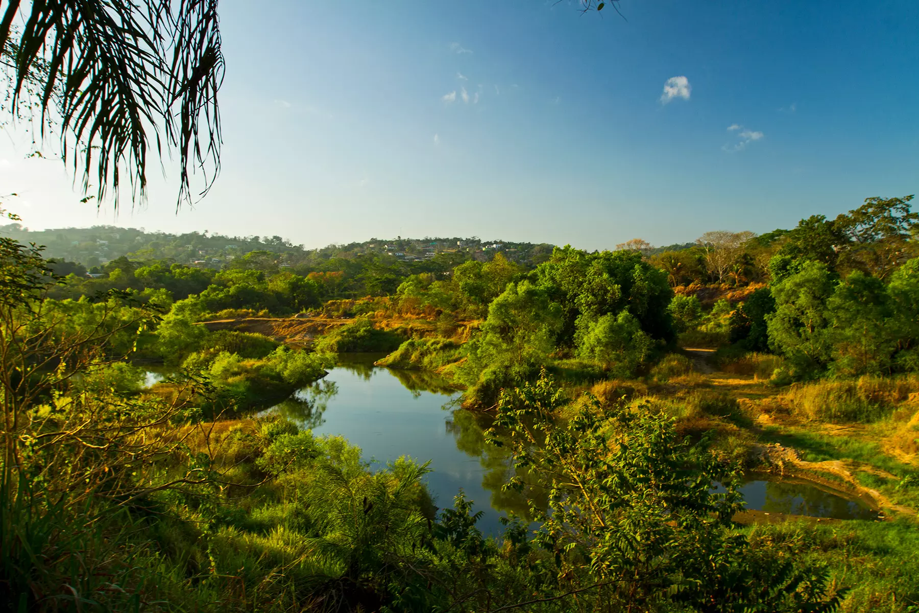 Pemandangan hutan di dekat San Ignacio, Belize