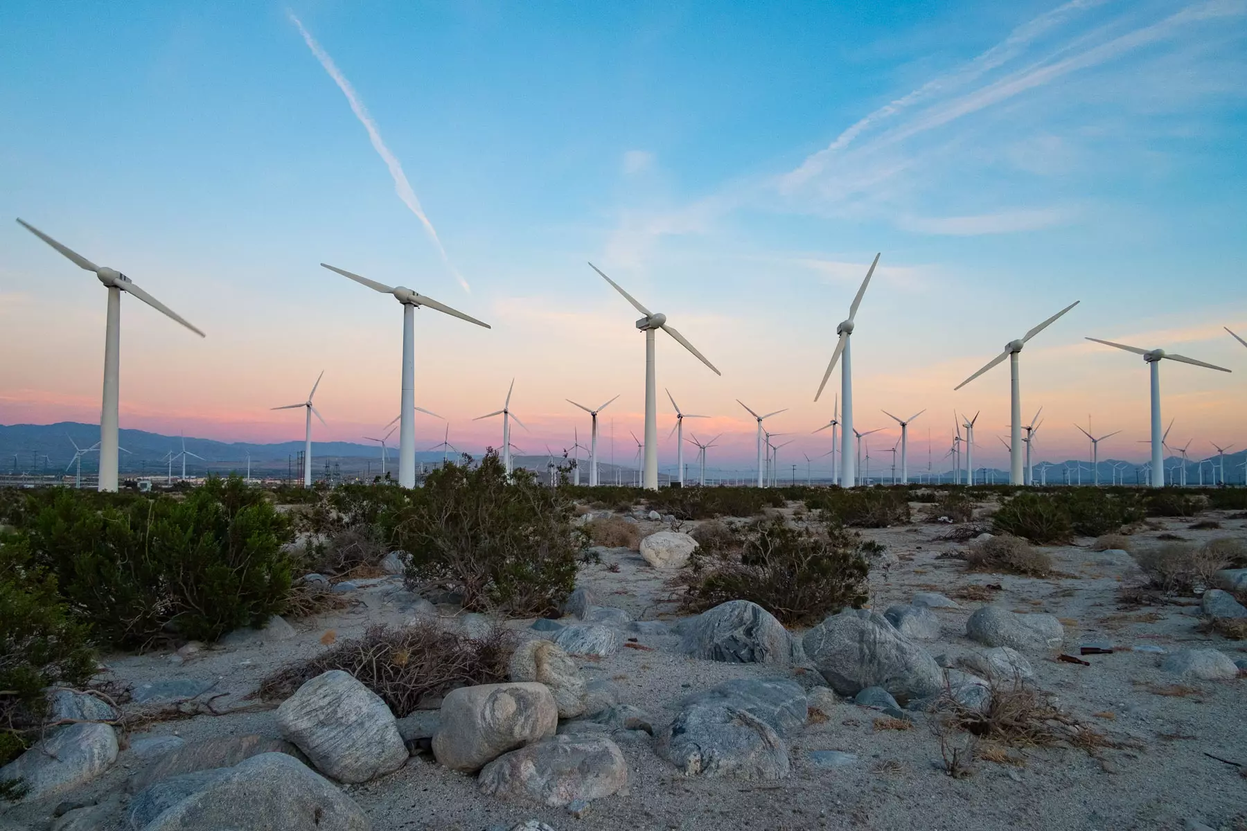 Iwọoorun laarin awọn afẹfẹ afẹfẹ ni Palm Springs, California