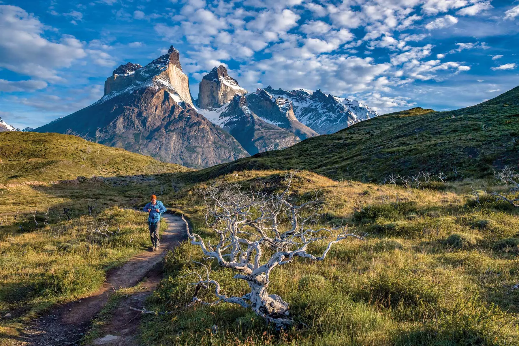 ការឡើងភ្នំនៅ Patagonia ជាមួយ Wilderness Travel បានបោះឆ្នោតជ្រើសរើសក្រុមហ៊ុនទេសចរណ៍ដ៏ល្អបំផុតមួយរបស់ពិភពលោក