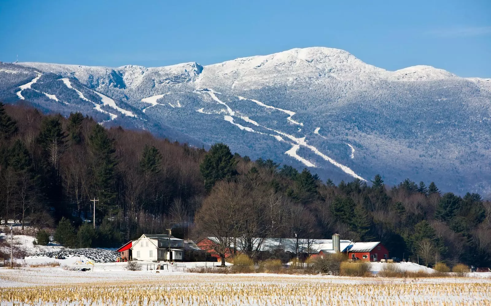 Ośrodek Stowe Mountain