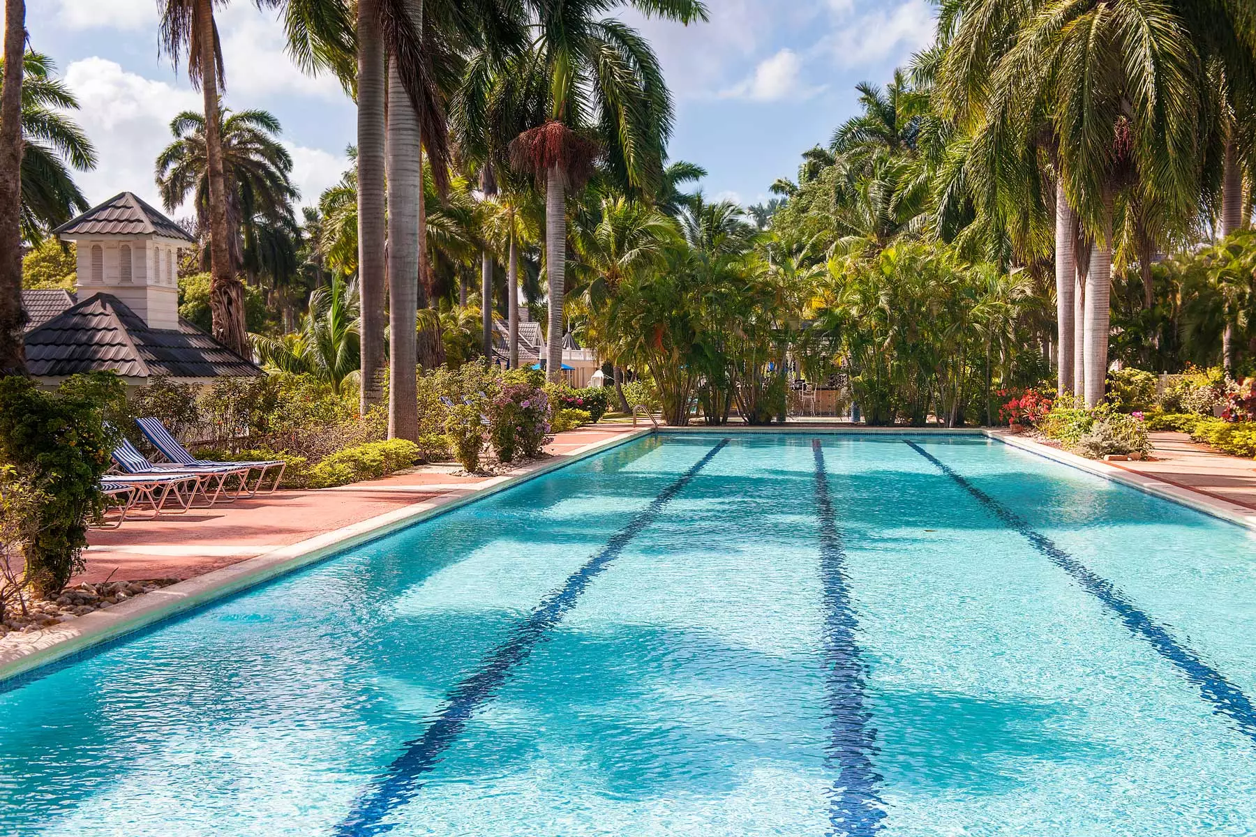 A piscina olímpica de Half Moon, eleita um dos melhores resorts do Caribe