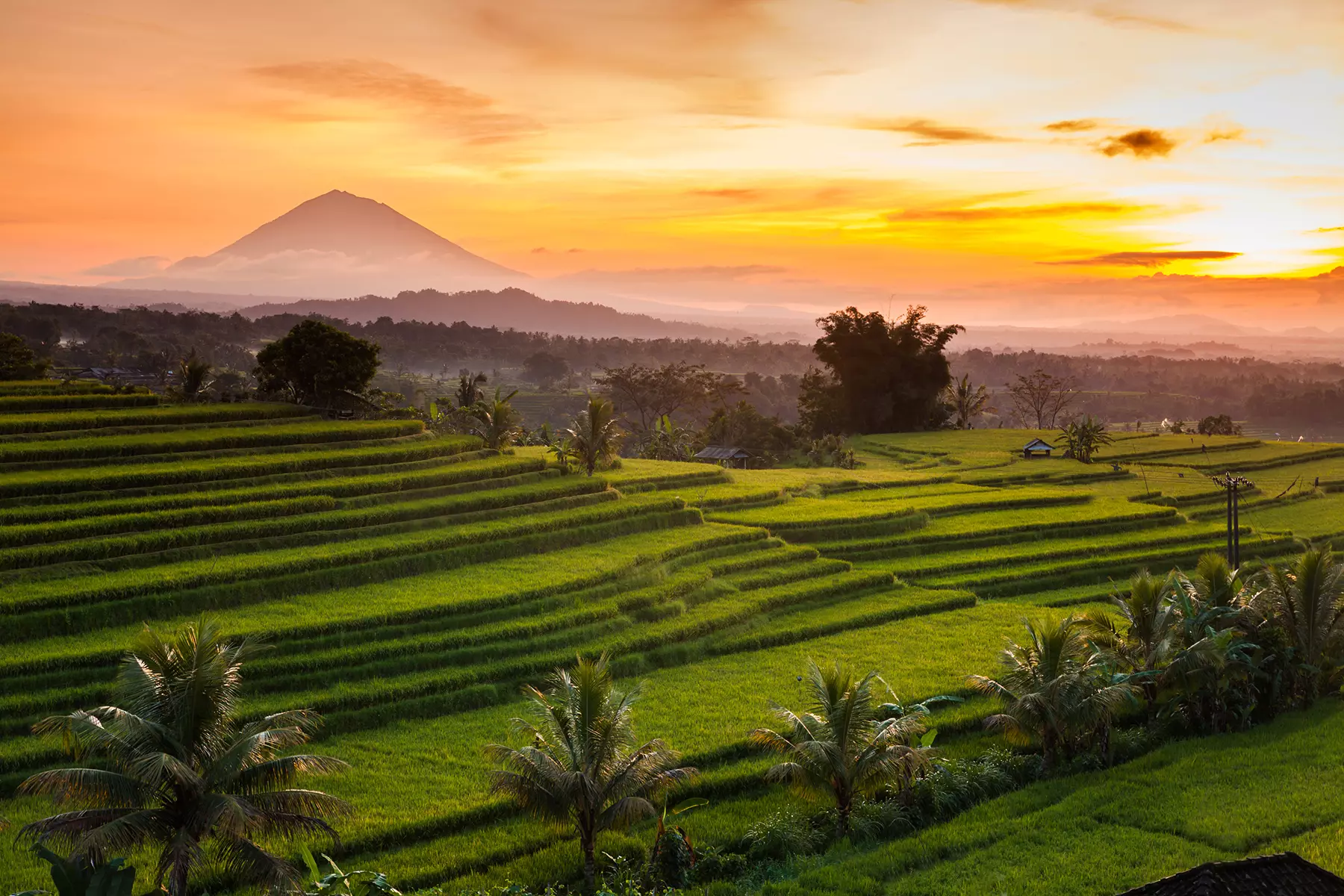 Teras Sawah Jatiluwih, Bali, Indonesia