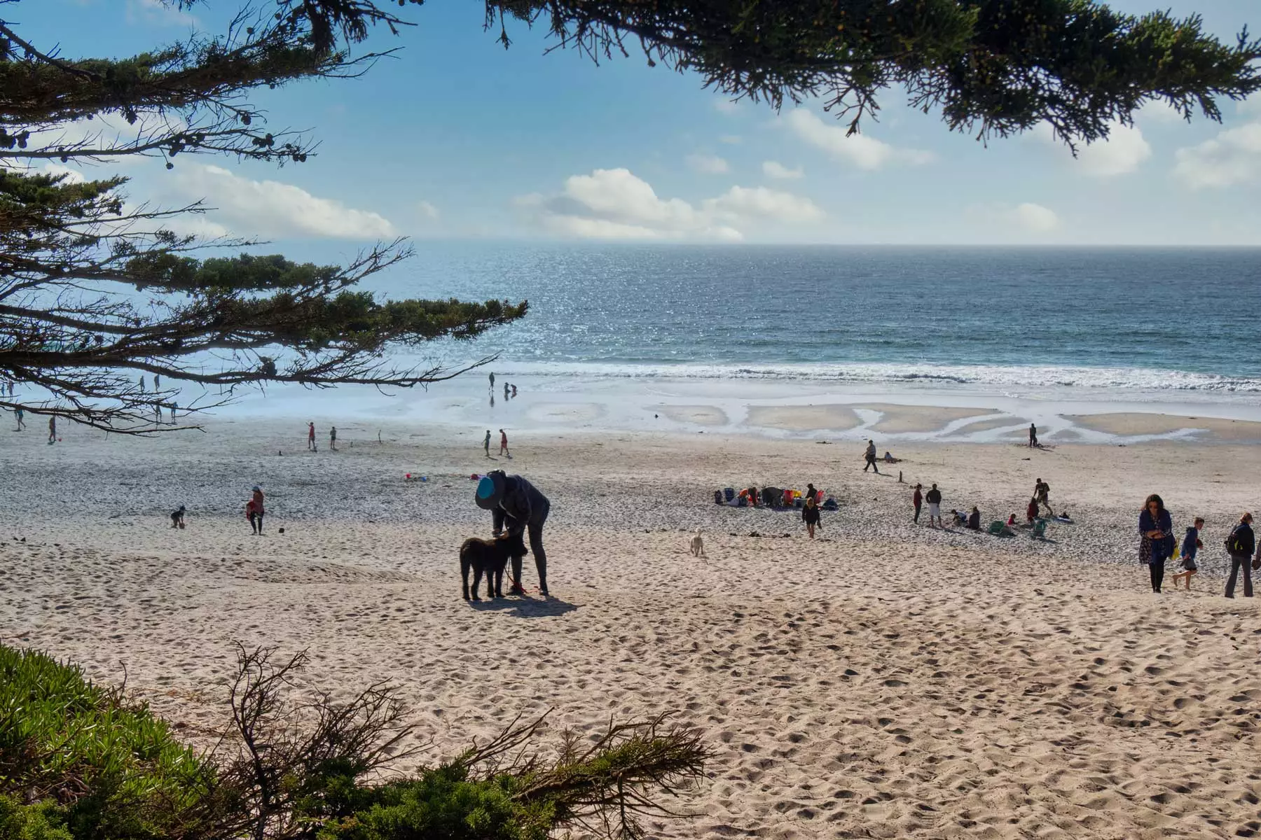 Mae pobl yn cerdded ar draeth Carmel ac yn mwynhau'r panorama wrth ryddhau ci