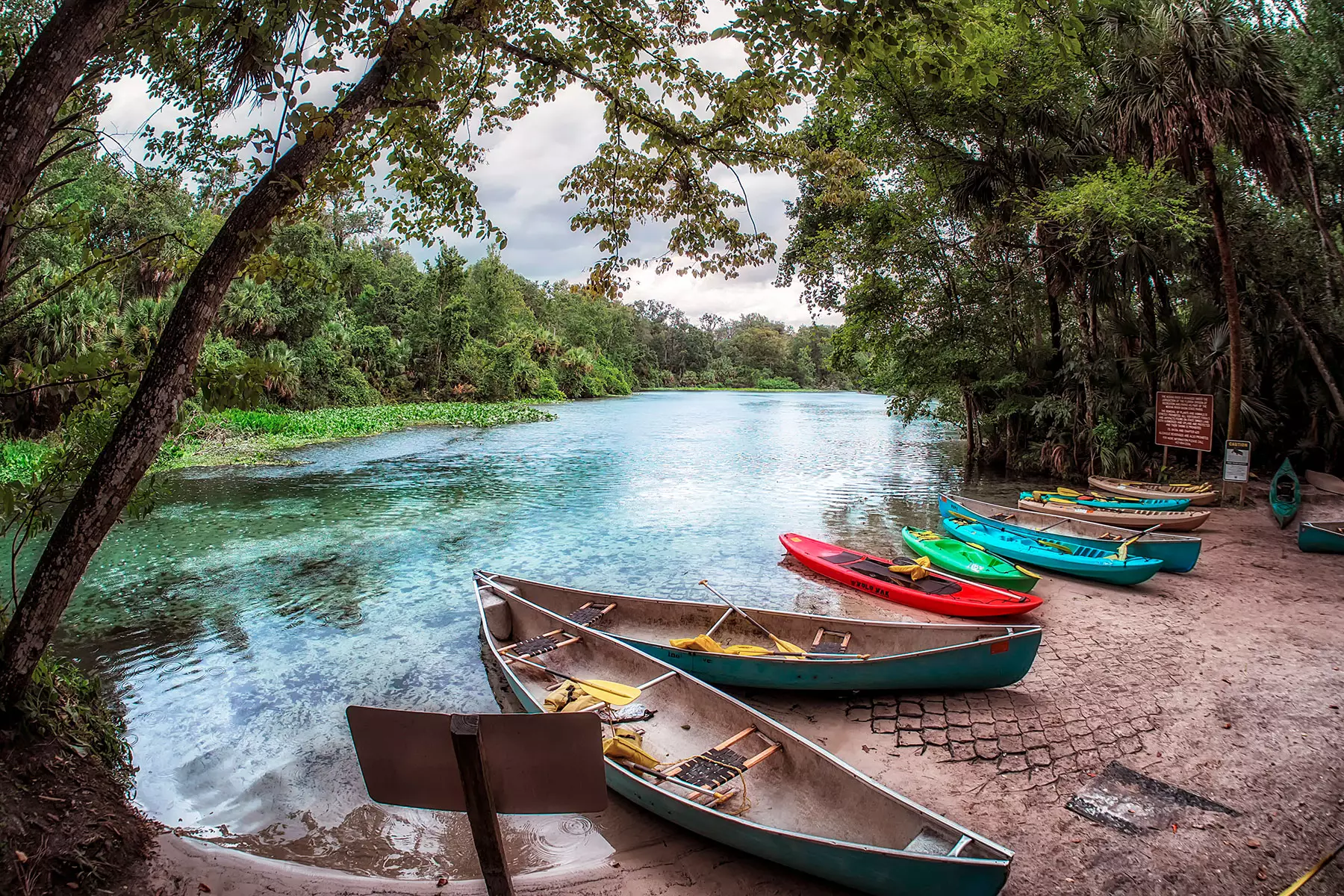 קאנו בפארק הלאומי Wekiwa Springs בפלורידה