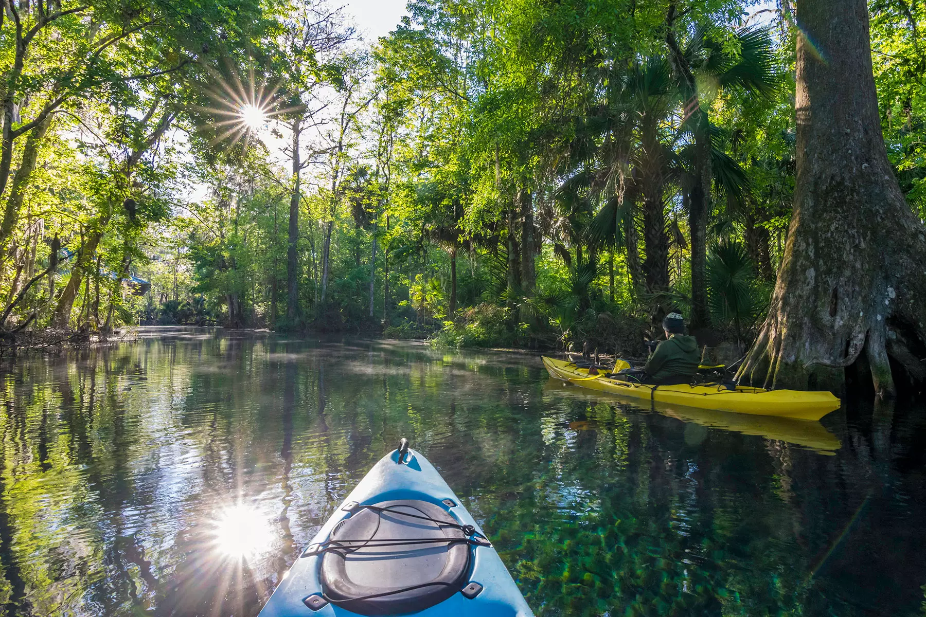 Kayaker-ը լուսանկարում է Ocala ազգային անտառի Արծաթե գետի արշալույսին