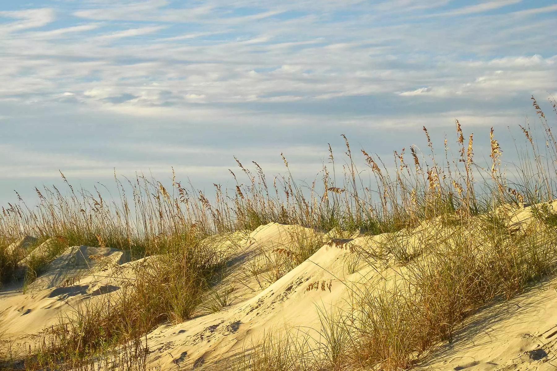 Dunes miaraka amin'ny oats an-dranomasina, faran'ny fararano, North Beach, Tybee Island, Georgia