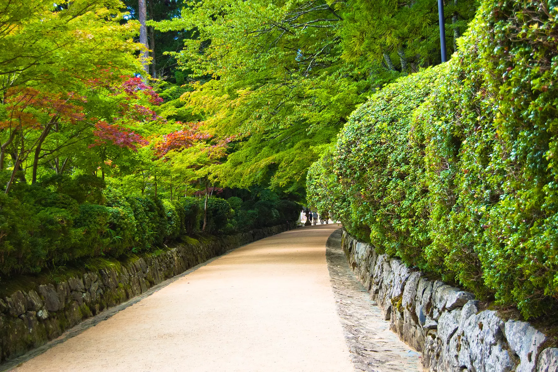 Koyasandagi ibodatxonaga yo'l.