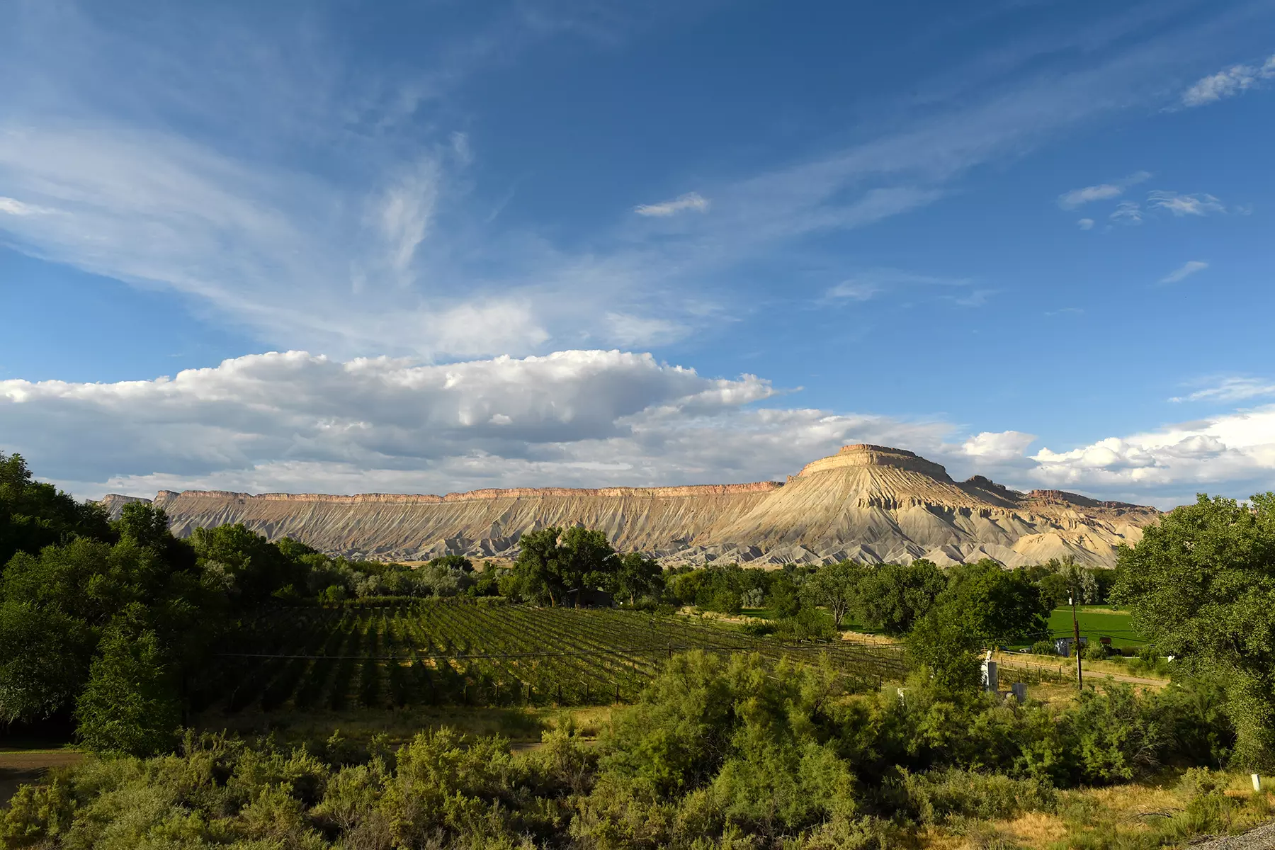 مائونٽ گارفيلڊ جو نظارو ۽ ننڍي بُڪ ڪلفس جي حد Palisade، Colorado ۾