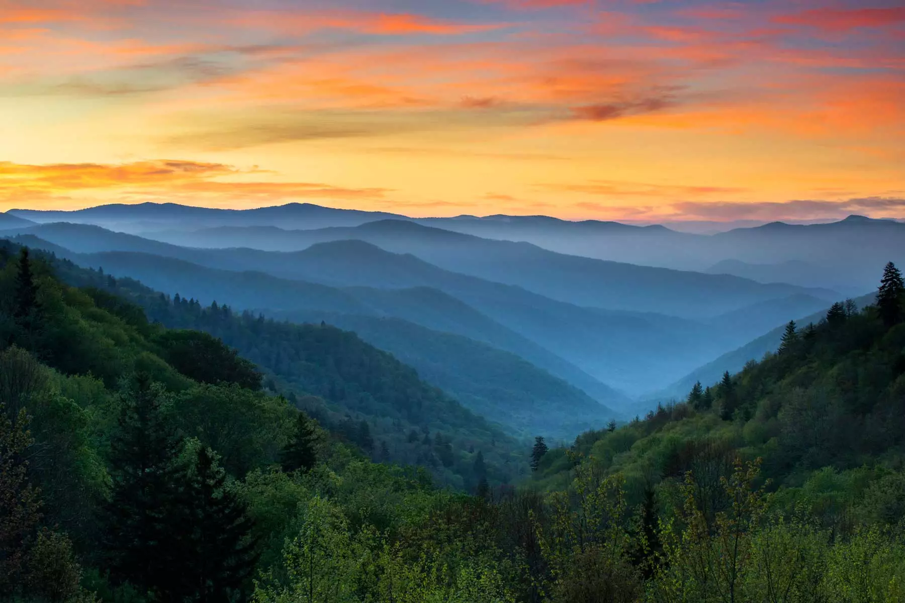 Sunrise Lânskip Great Smoky Mountains National Park Gatlinburg, TN