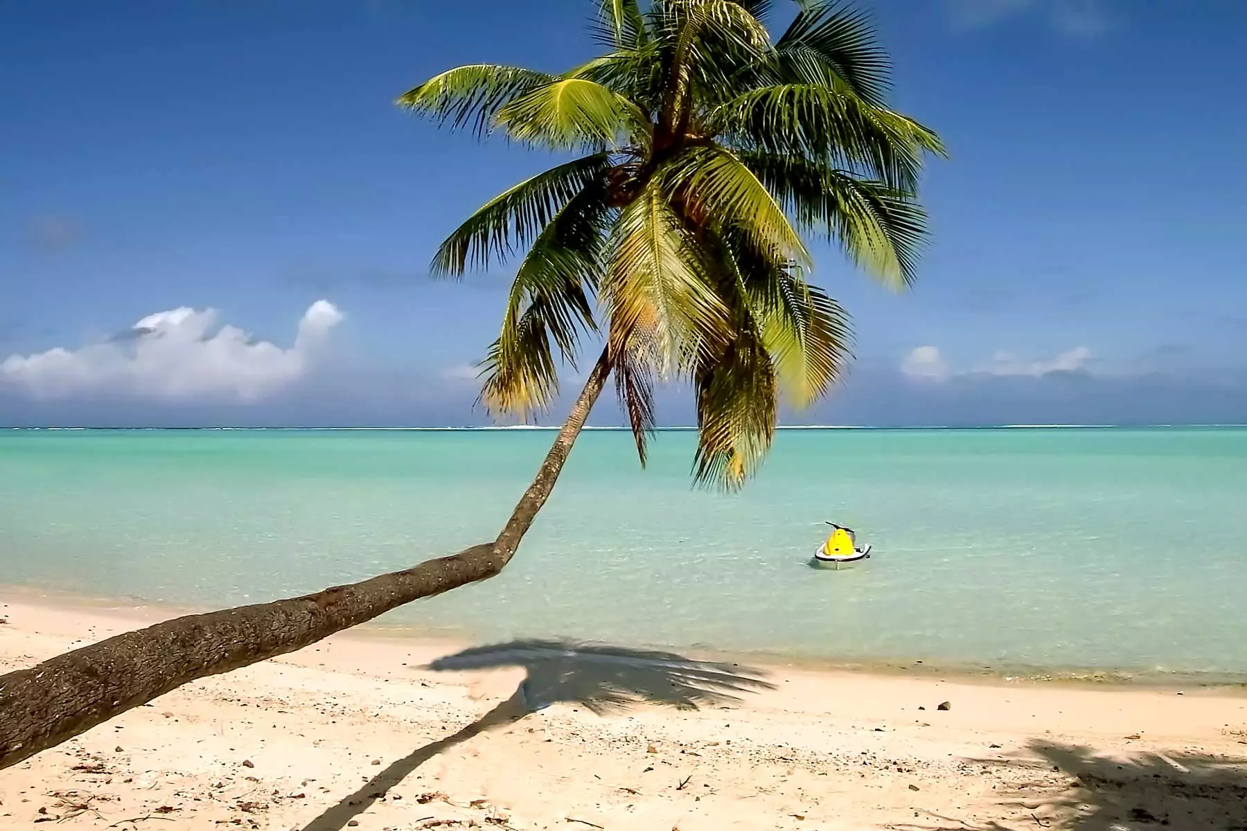 Pohon palem bengkok ing pantai Matira, Bora Bora.