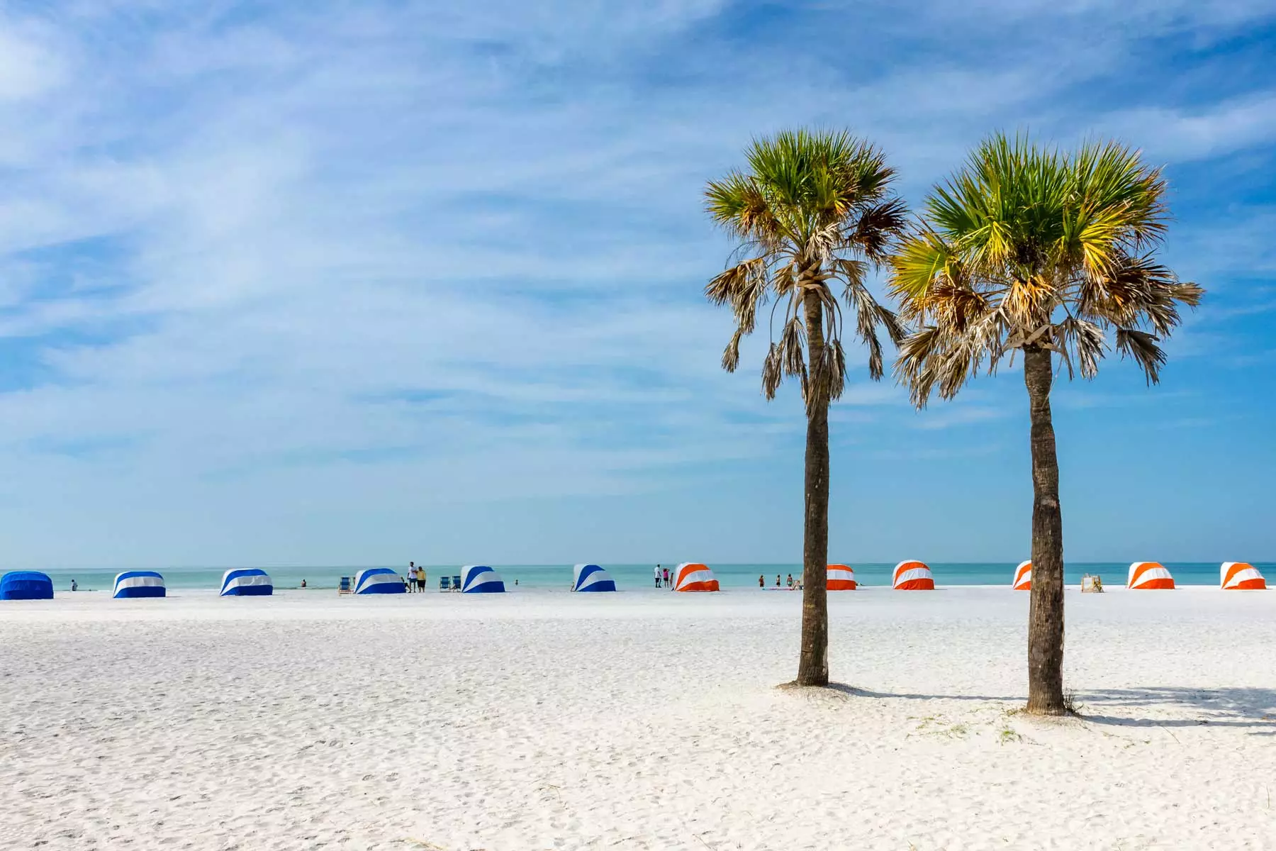 Clearwater Beach, Флорида, ду дарахти хурмо ва як қатор хаймаҳои соҳилӣ