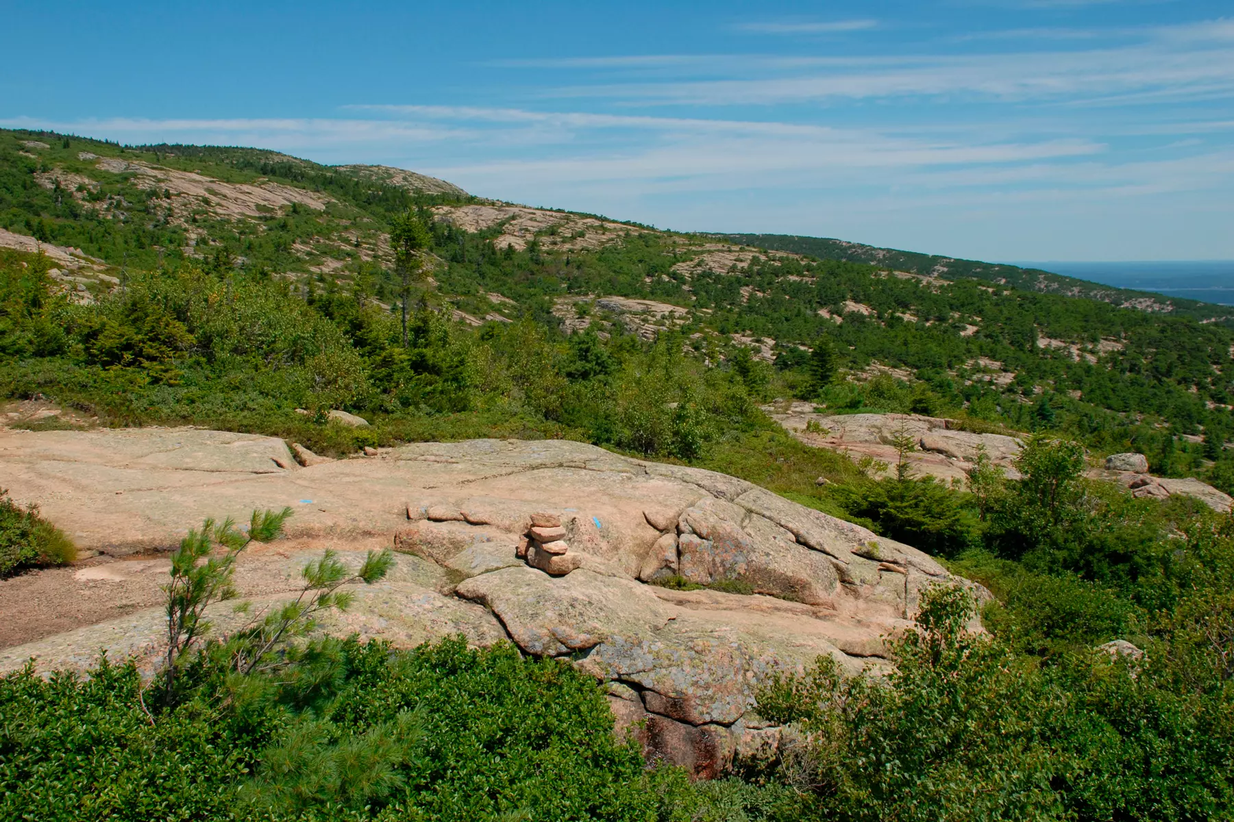 Peisaj de-a lungul South Ridge Trail pe Cadillac Mountain