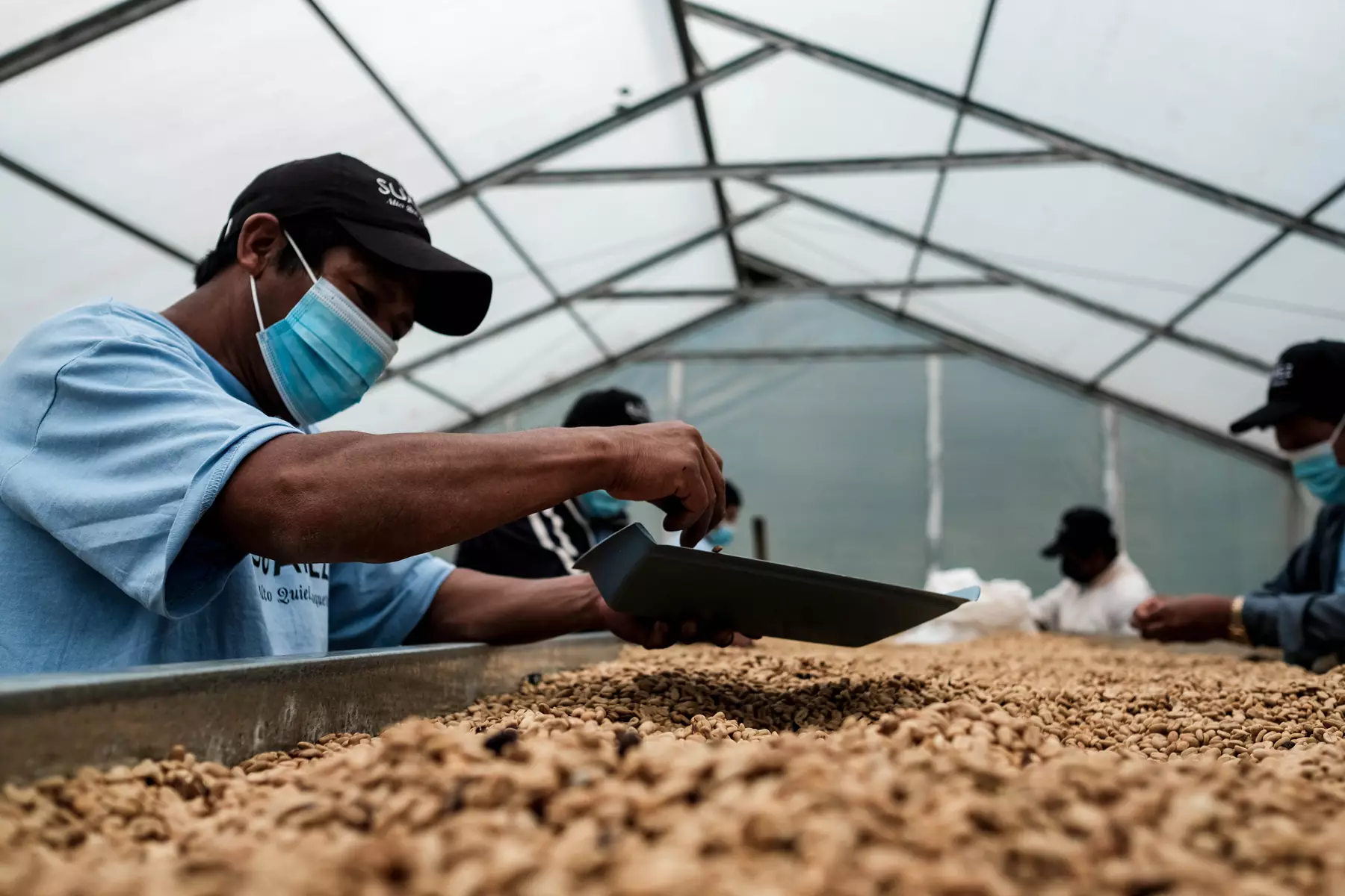 Chiriqui Highlands, cultivatorii de cafea și cultura locală din Panama