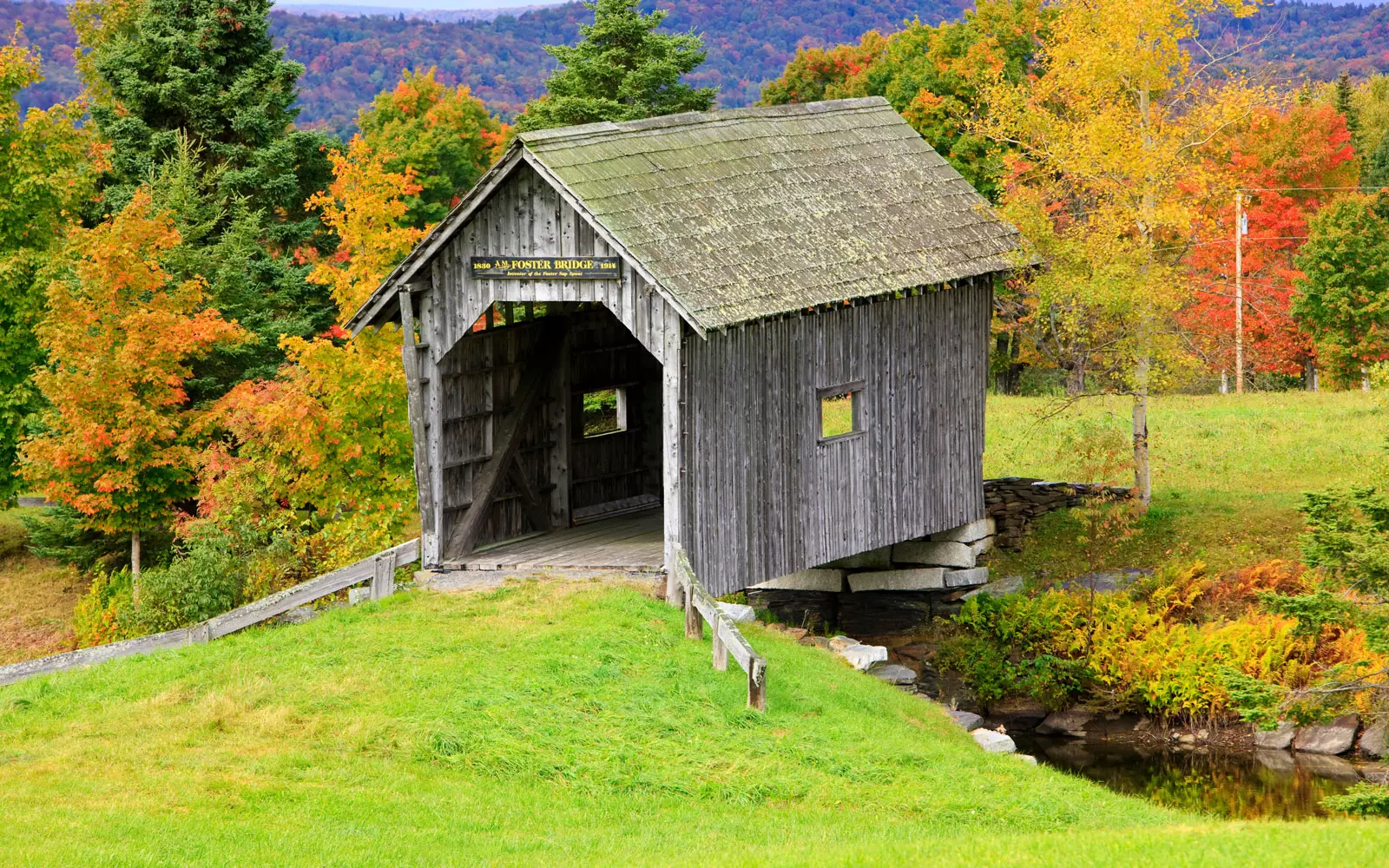 DOPOLEDNE. Foster Bridge