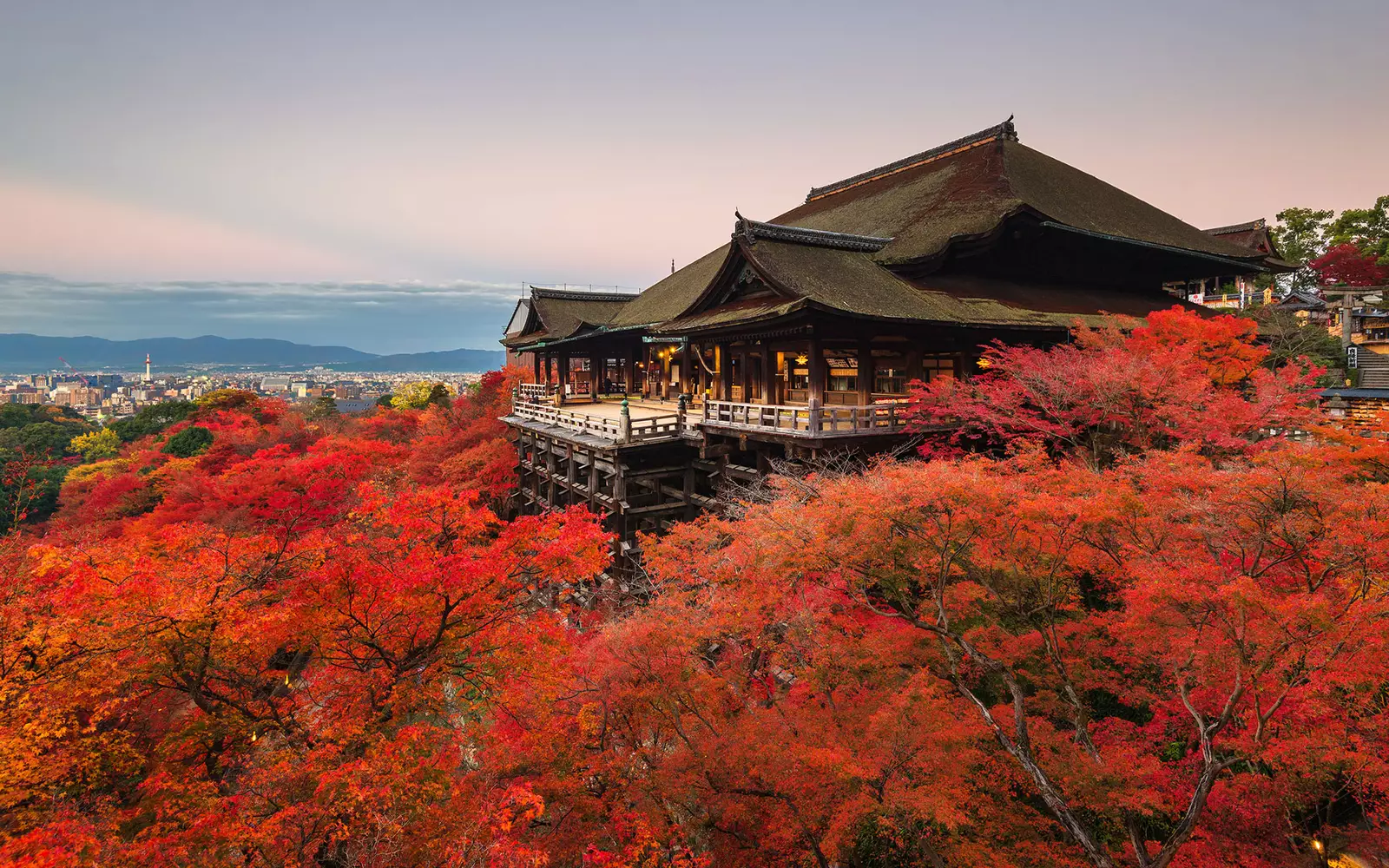 Japan mu autumn