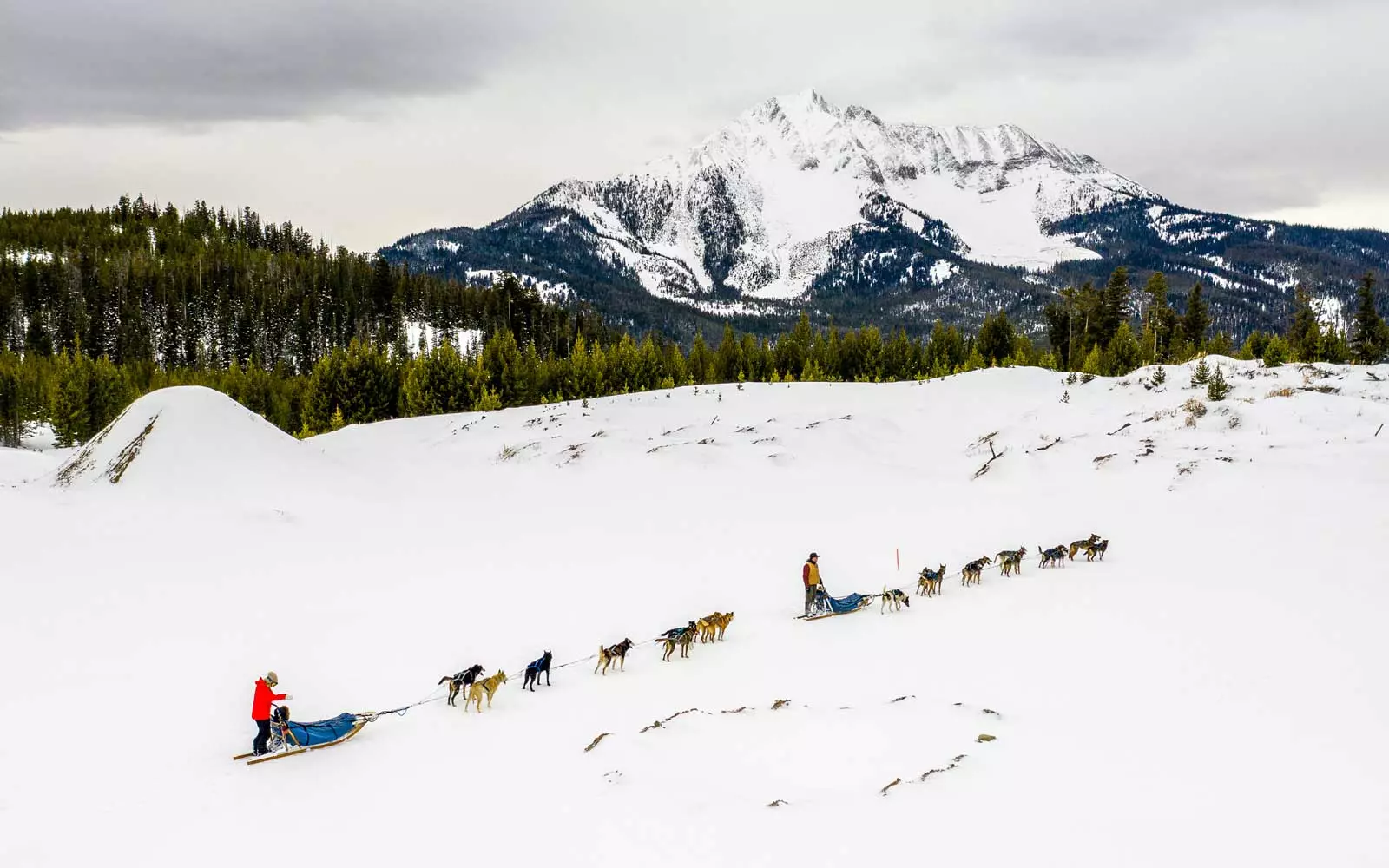 Montana şäherindäki “Big Sky Resort” -da it sledigi