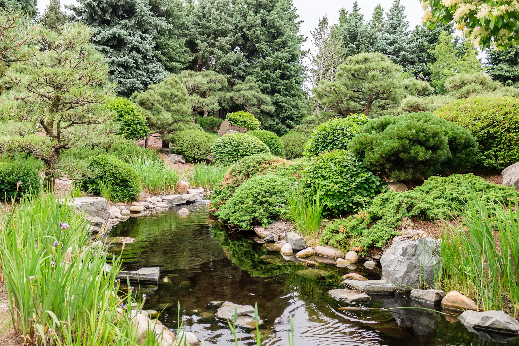 Taman Jepun di taman botani Denver